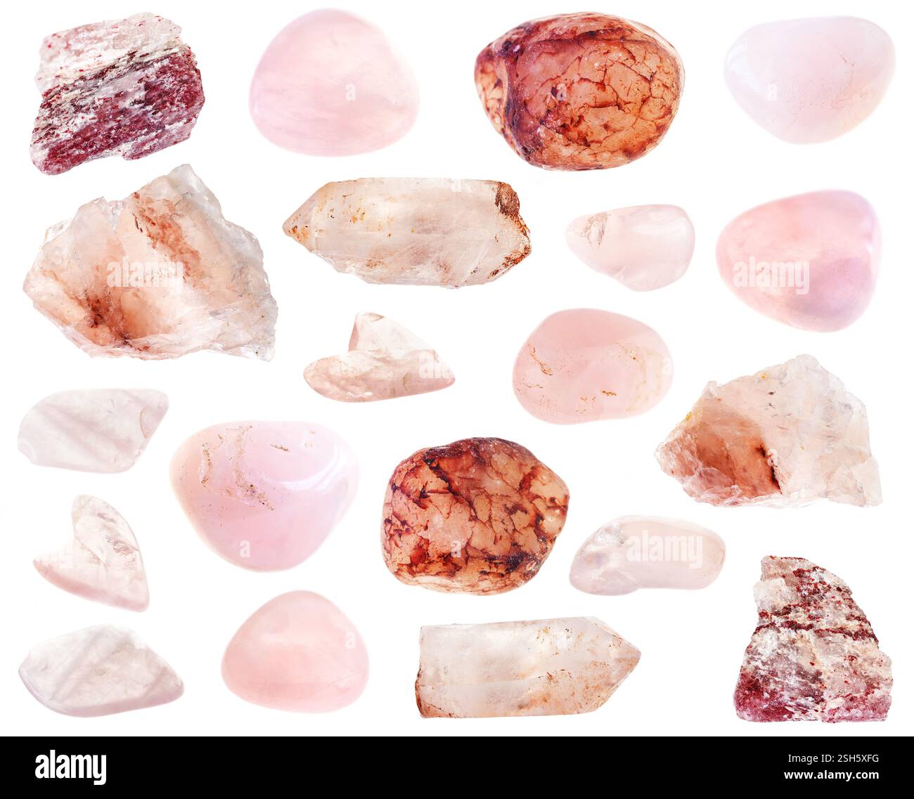 various specimens of uncut rose quartz rocks cutout on white background ...