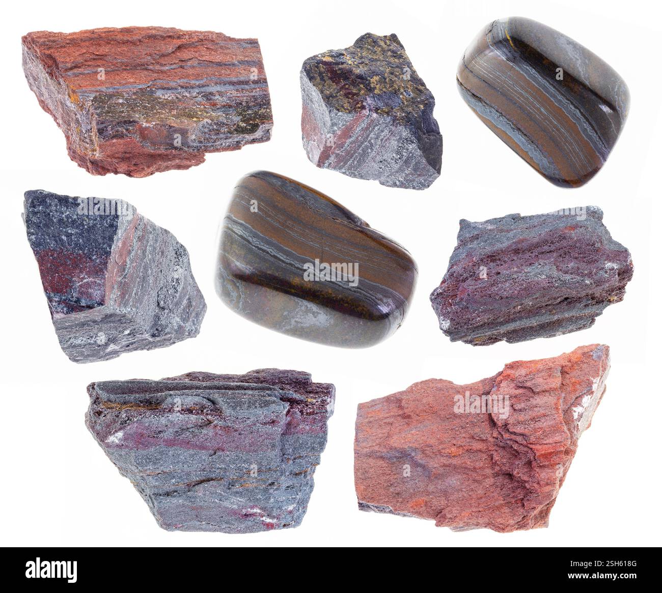 various specimens of uncut jaspillite rocks cutout on white background ...