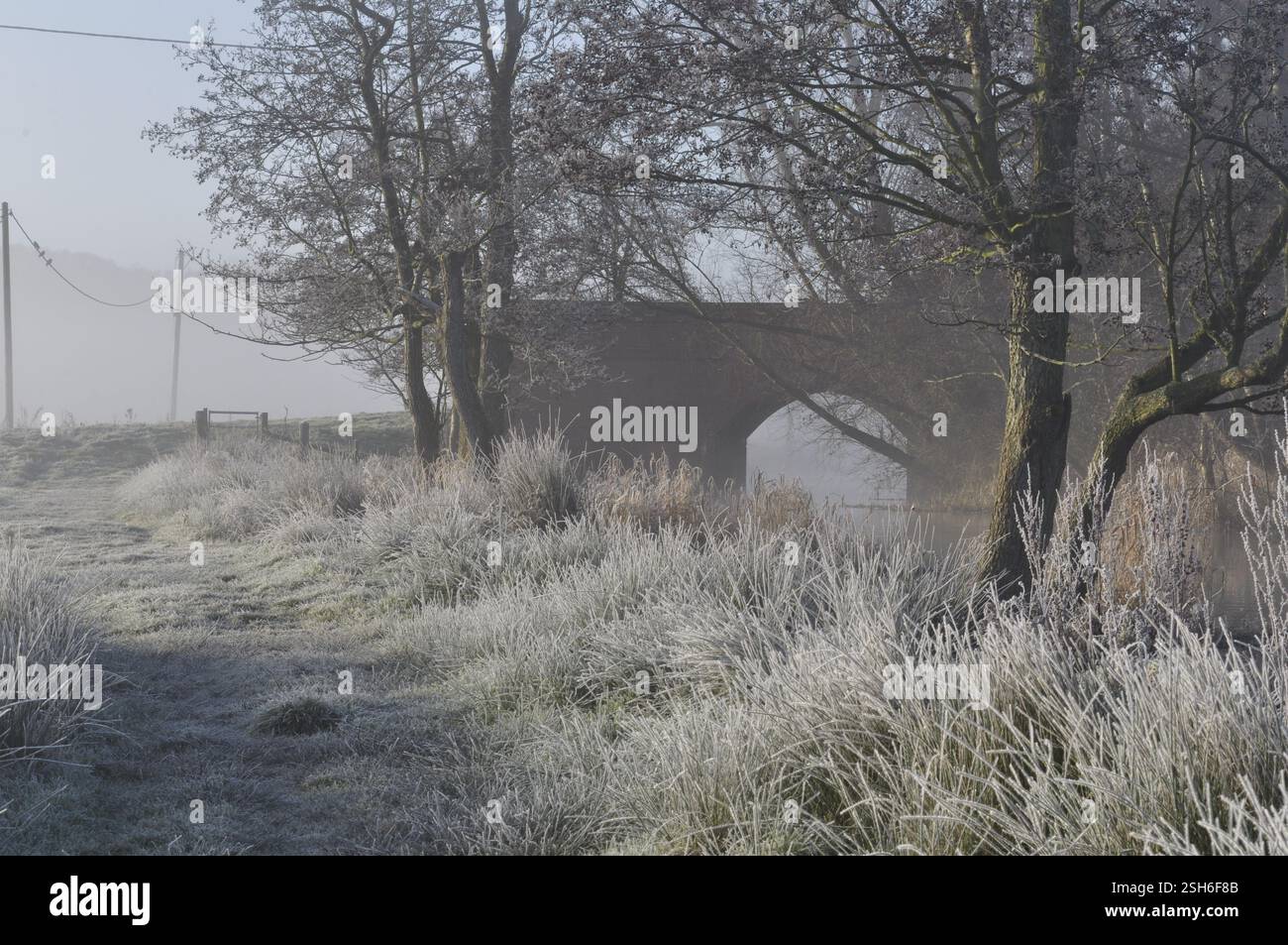 North Walsham and Dilham Canal (disused) near East Ruston Norfolk ...