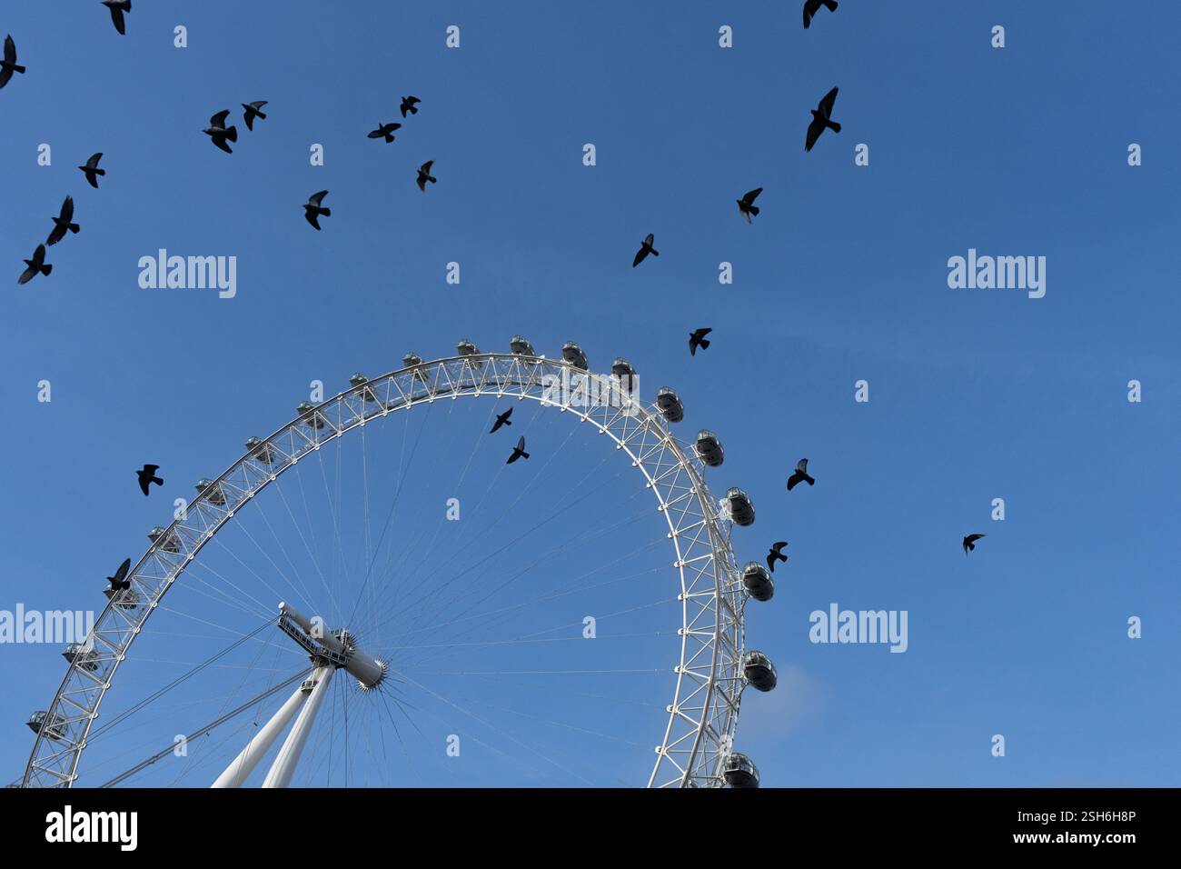 Birds fly near the London Eye, a large Ferris wheel in London, England ...