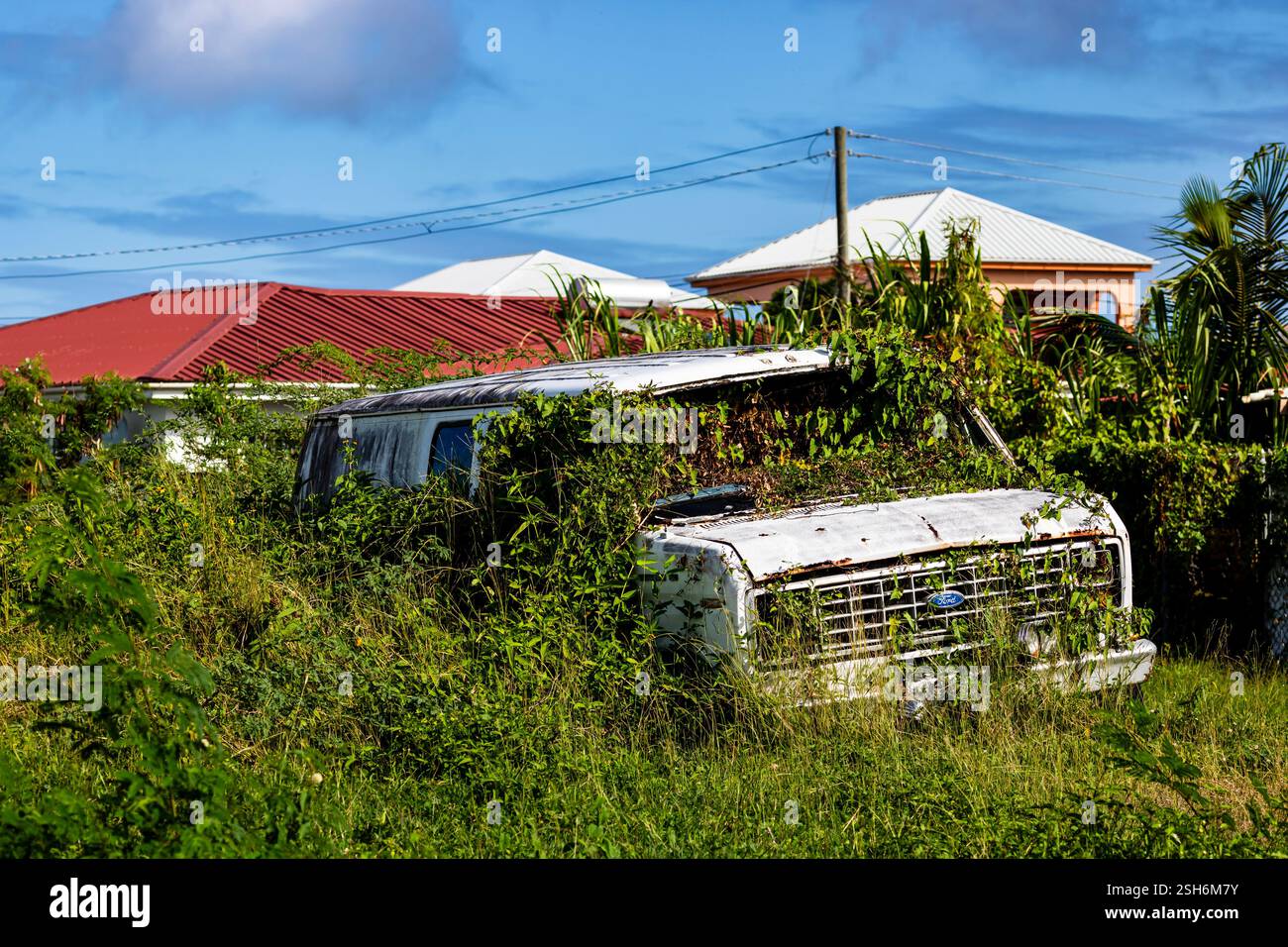 An old rusty Ford van abandoned in the woods Stock Photo - Alamy