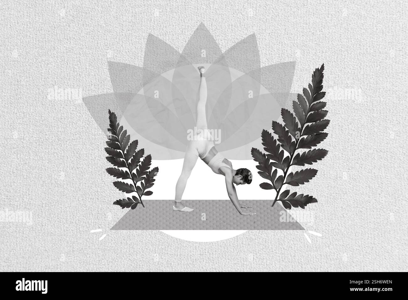 Composite collage picture image of young sportive flexible woman asana ...