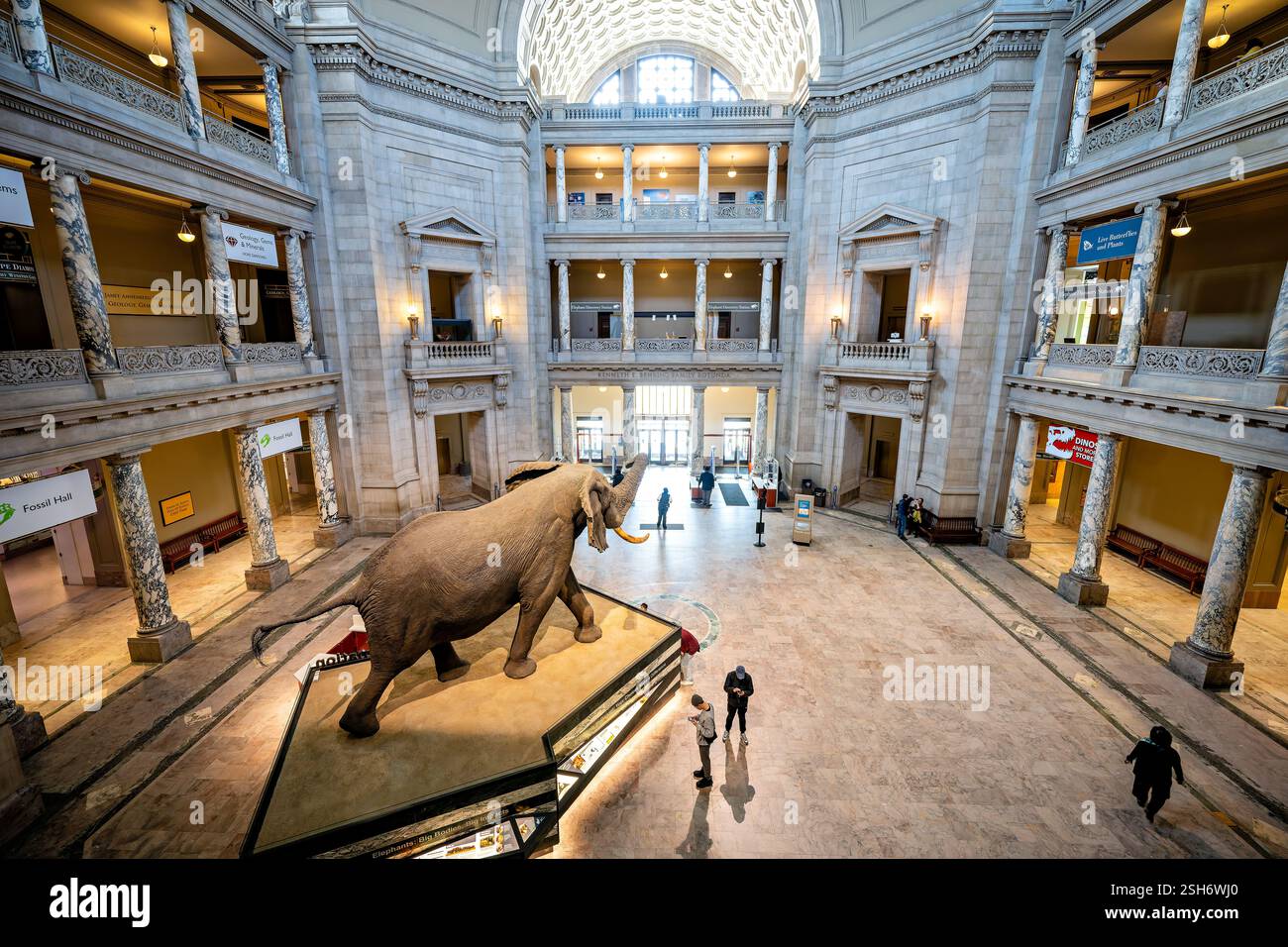 Museum centerpiece dc hi-res stock photography and images - Alamy