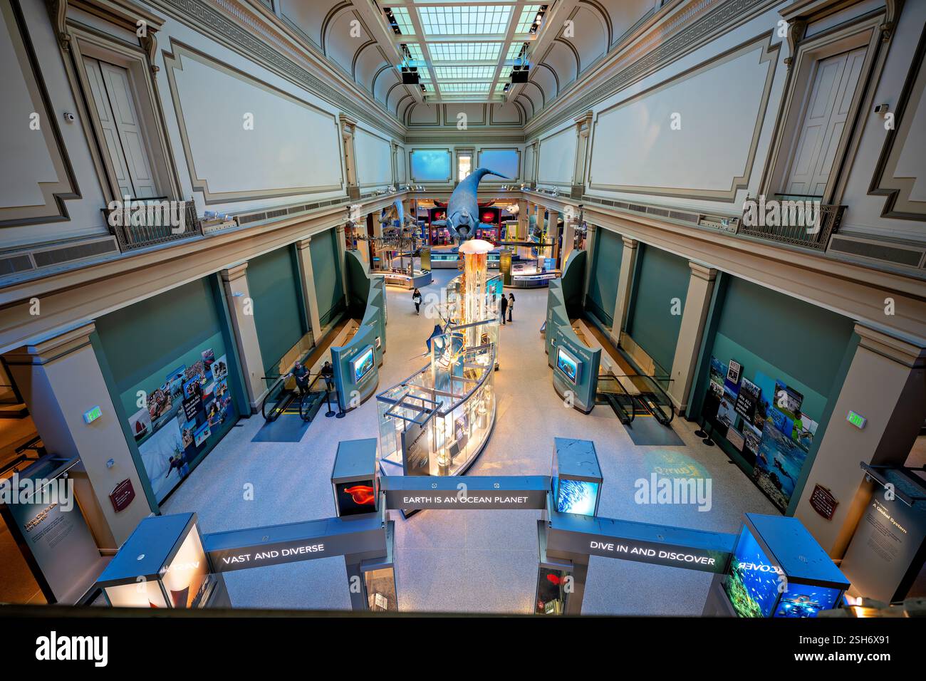 WASHINGTON DC — The Sant Ocean Hall at the Smithsonian's National ...