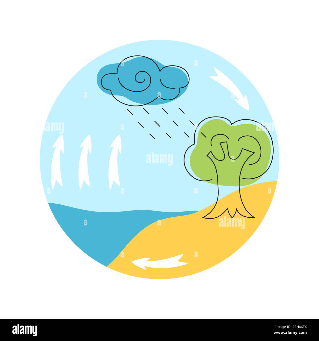 Understanding the water cycle through clouds and trees in a simplified ...
