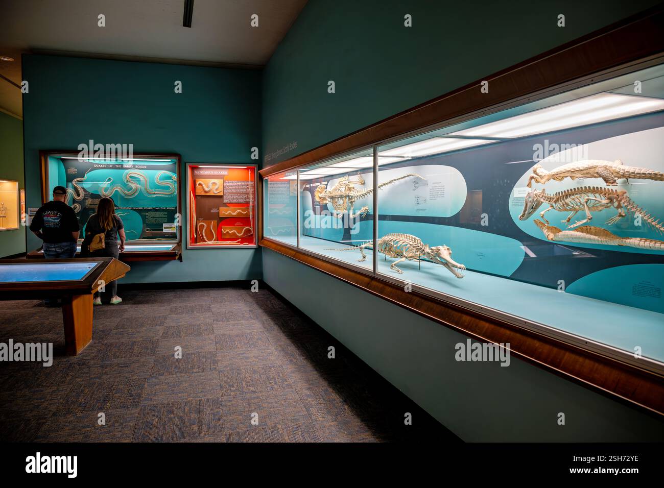 WASHINGTON DC — The historic Bone Hall at the Smithsonian's National ...