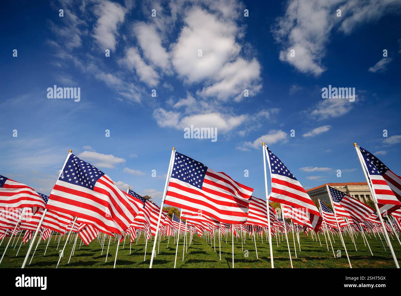 WASHINGTON DC, United States — Rows of American flags create a ...