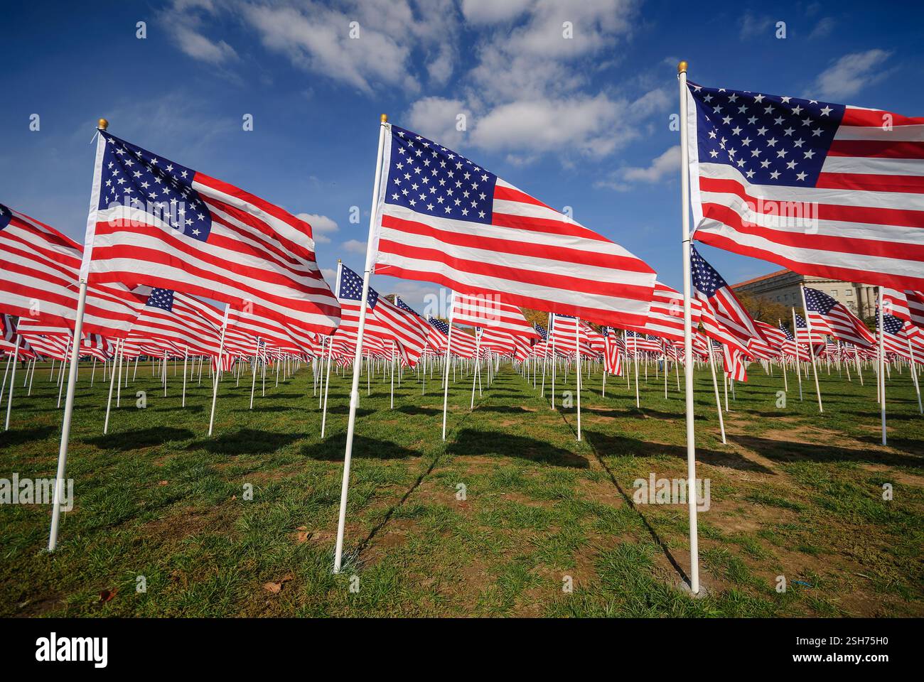 American Flags National Mall Washington DC // WASHINGTON DC — Rows of ...