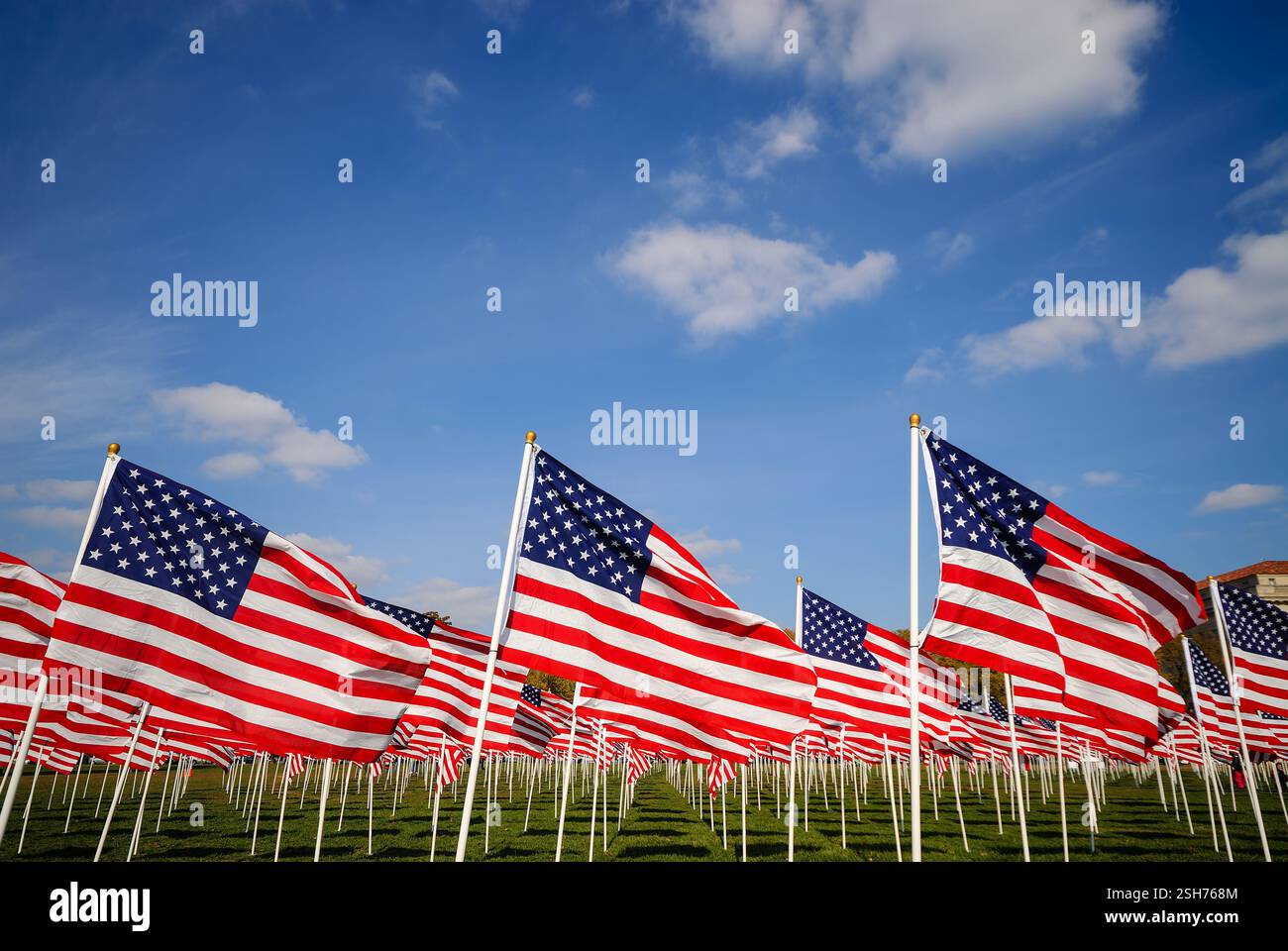 WASHINGTON DC, United States — Rows of American flags create a ...
