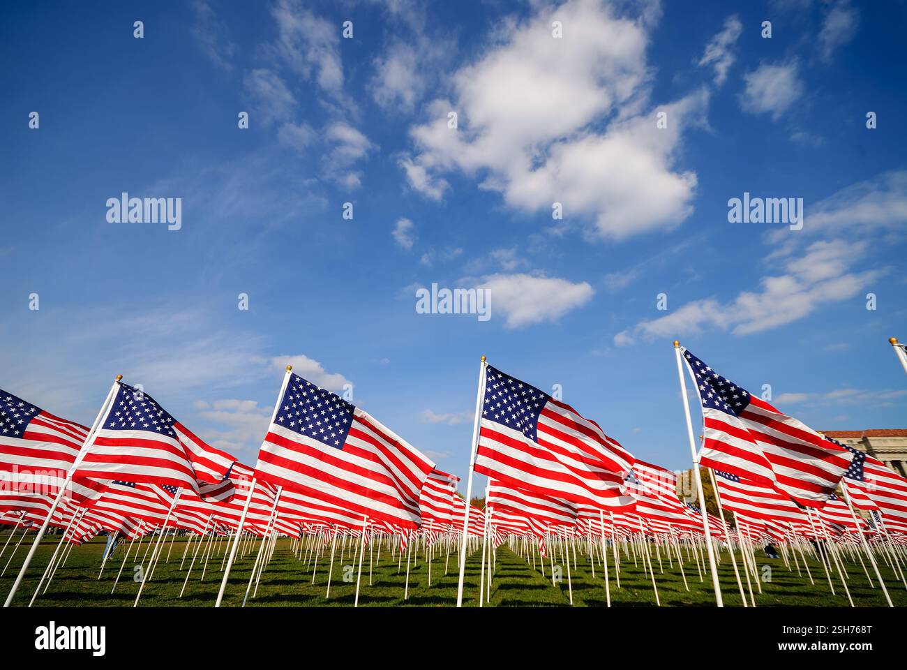 WASHINGTON DC, United States — Rows of American flags create a ...