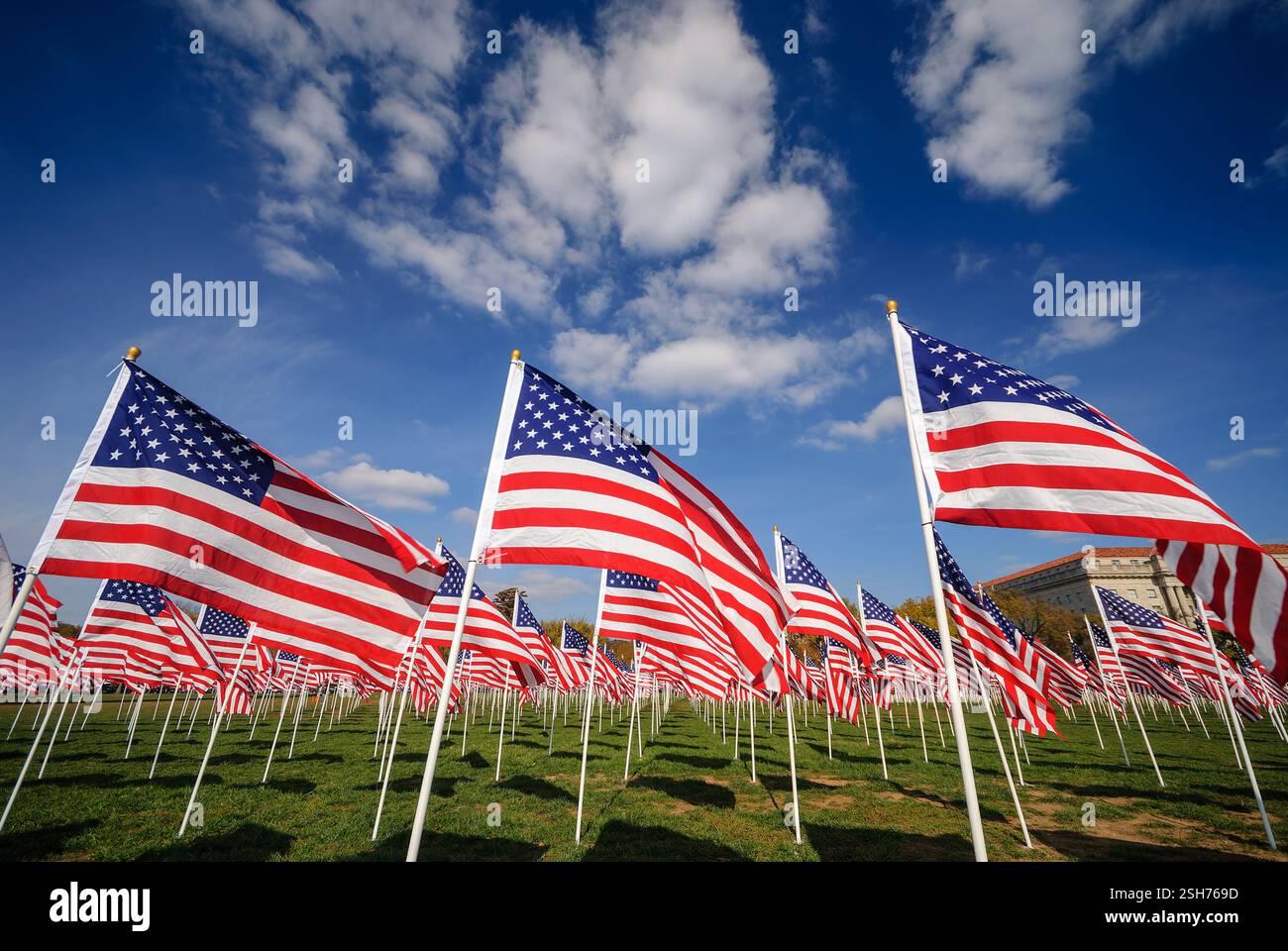WASHINGTON DC — Rows of American flags create a temporary installation ...