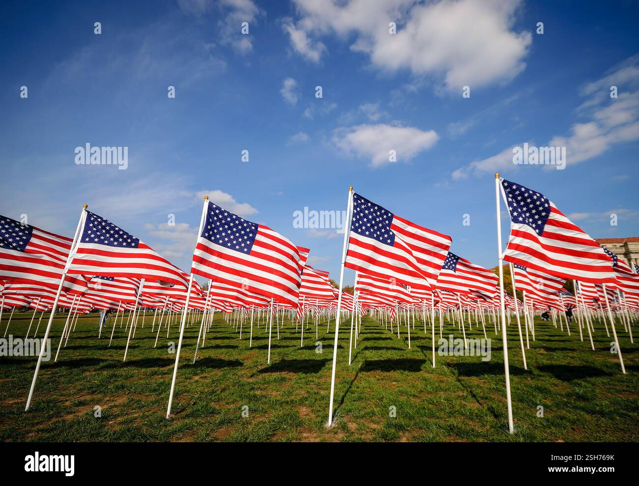 WASHINGTON DC, United States — Rows of American flags create a ...