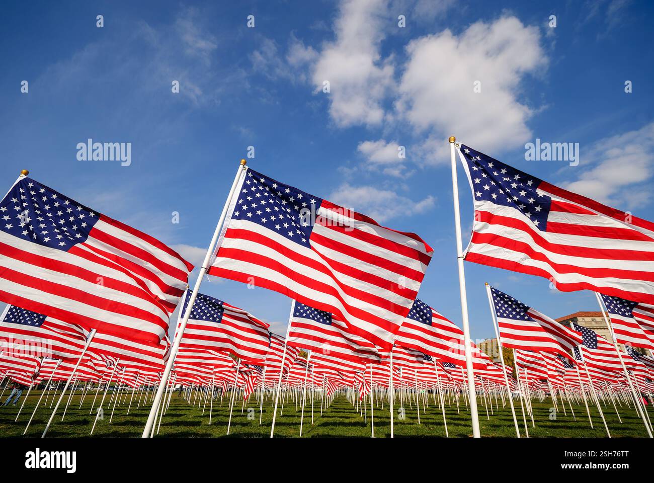 WASHINGTON DC, United States — Rows of American flags create a ...