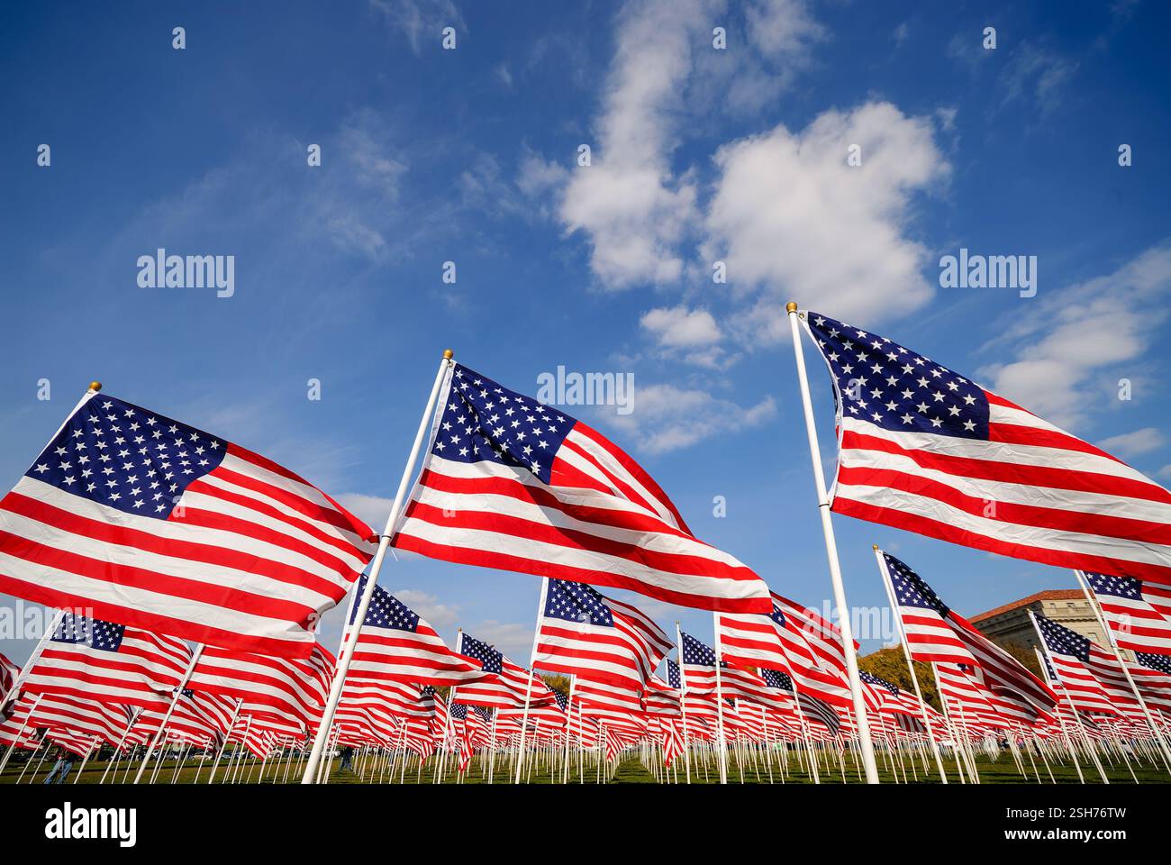 WASHINGTON DC, United States — Rows of American flags create a ...