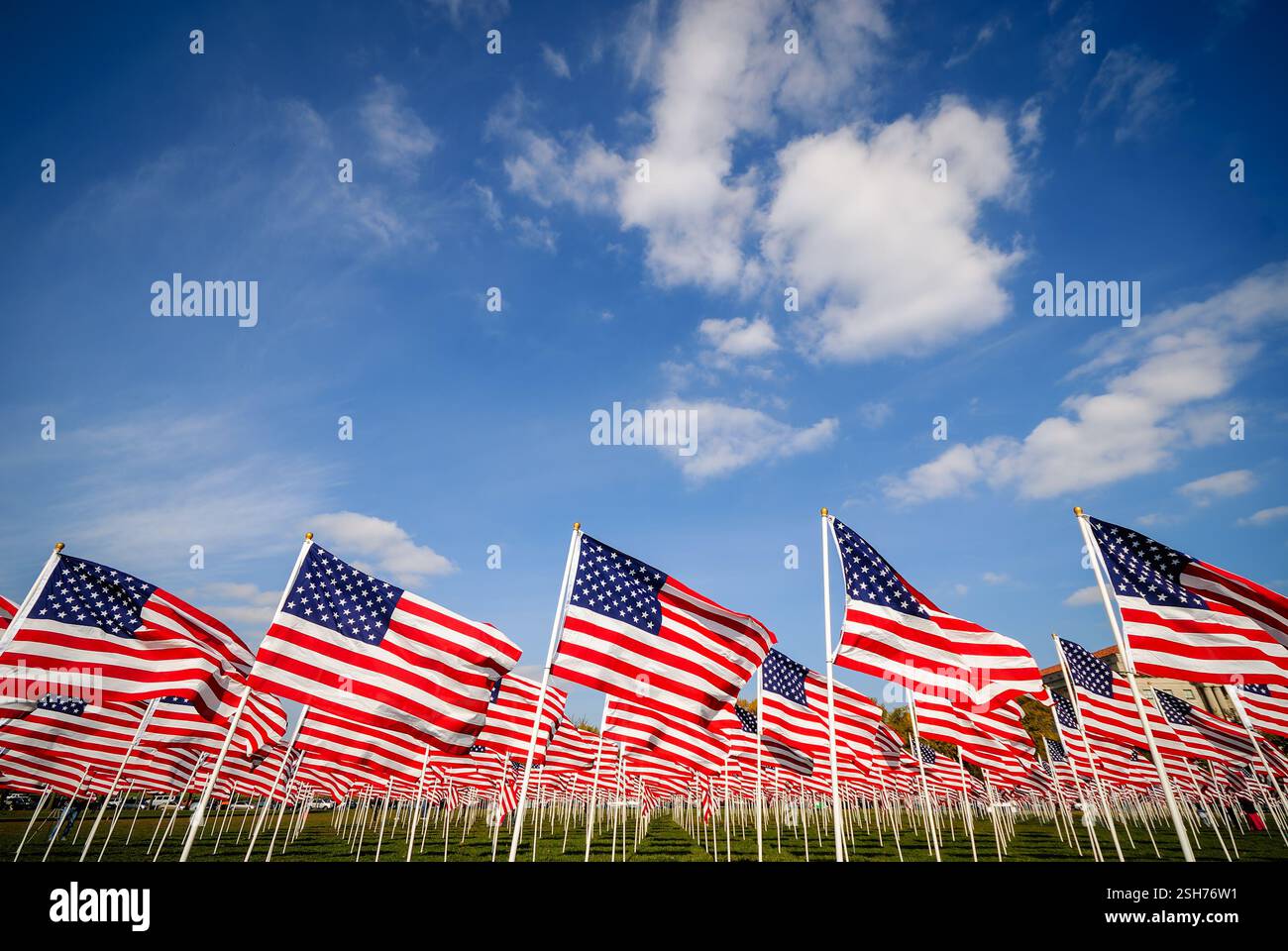 WASHINGTON DC, United States — Rows of American flags create a ...