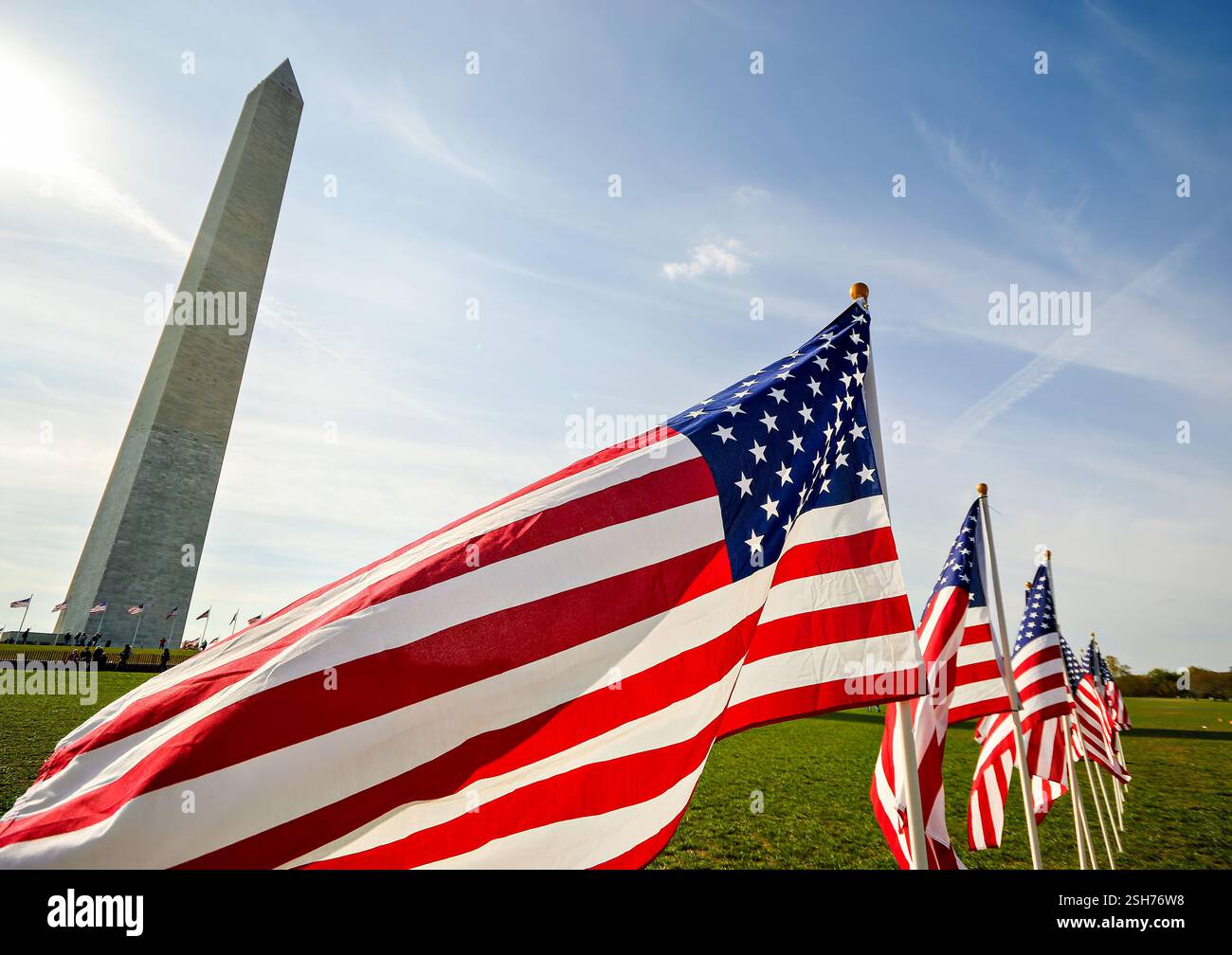 WASHINGTON DC, United States — Rows of American flags create a ...