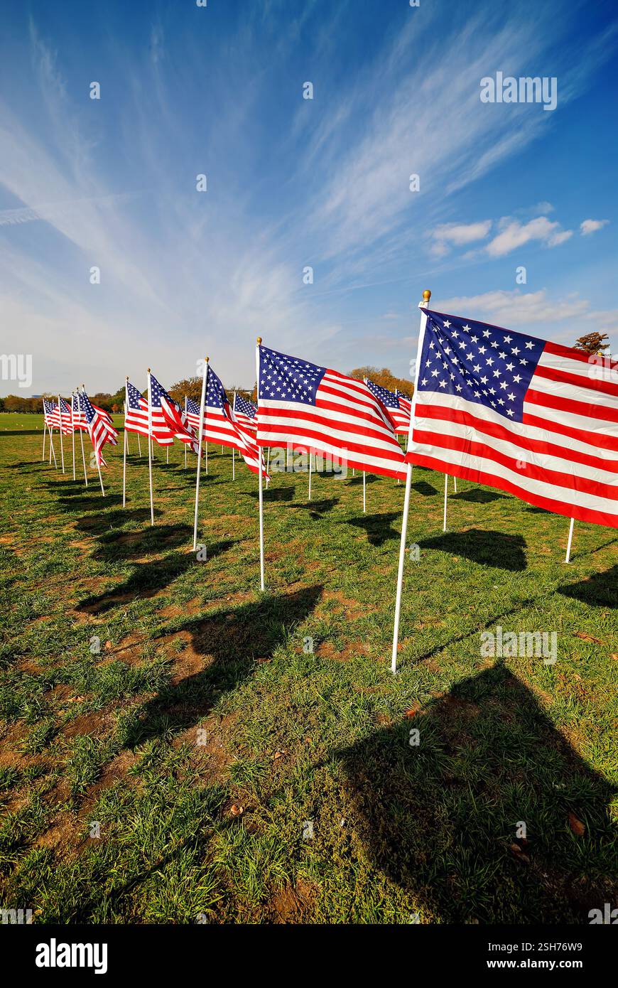 WASHINGTON DC, United States — Rows of American flags create a ...