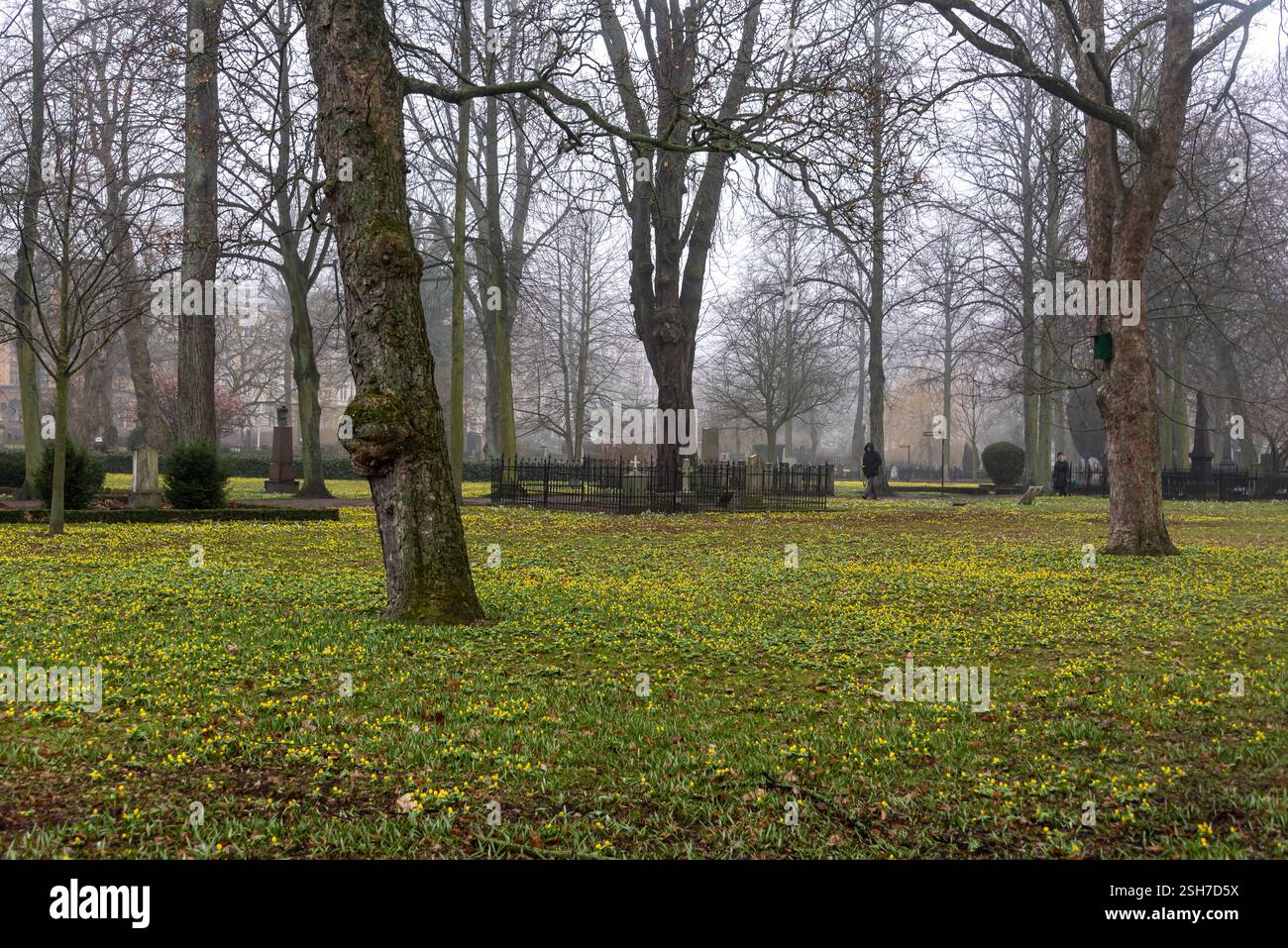 Winter Scenes at Malmo, Sweden Stock Photo - Alamy