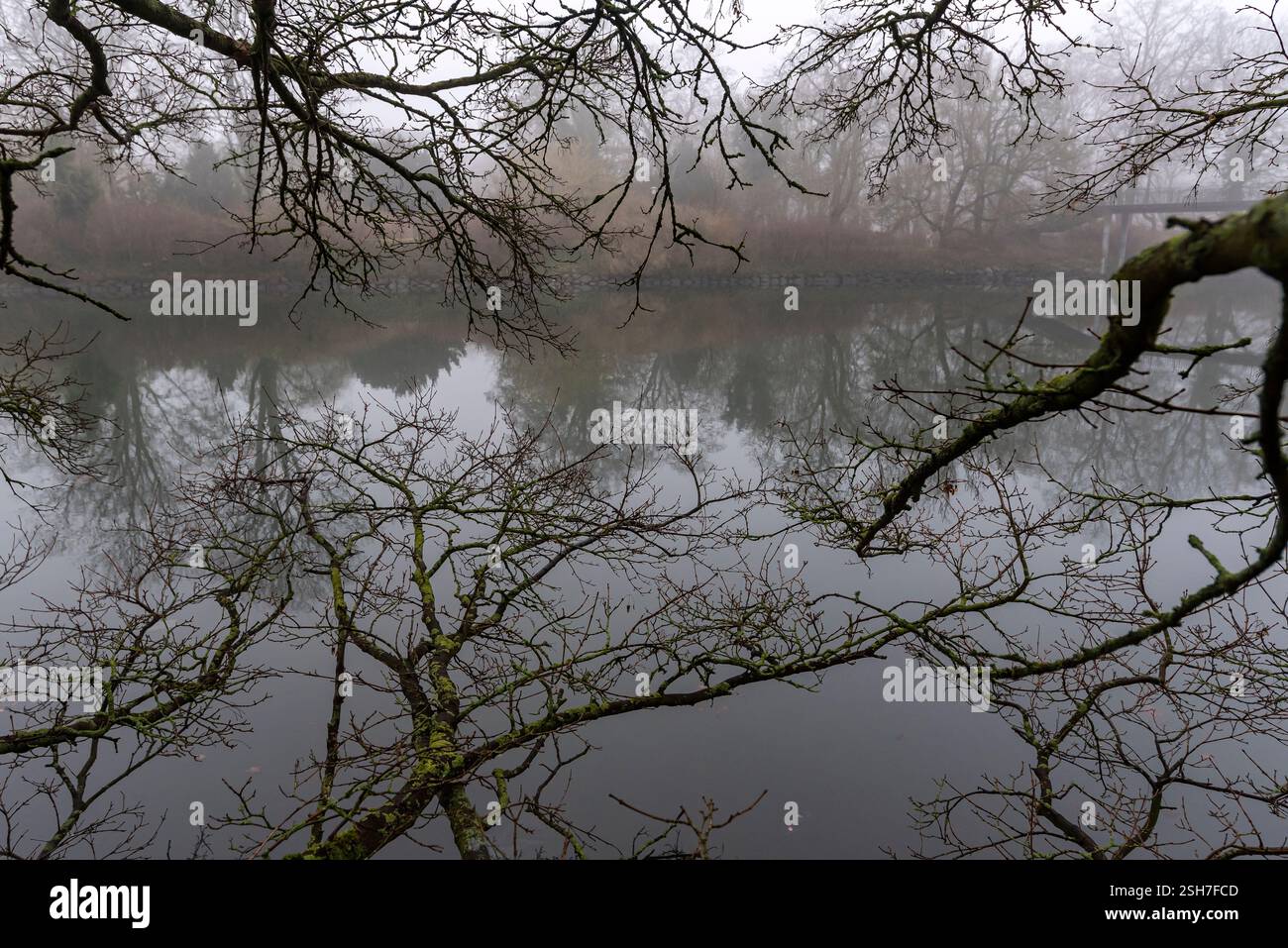Winter Scenes at Malmo, Sweden Stock Photo - Alamy