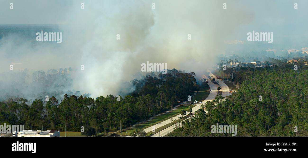 Aerial view of fire department firetrucks extinguishing wildfire ...
