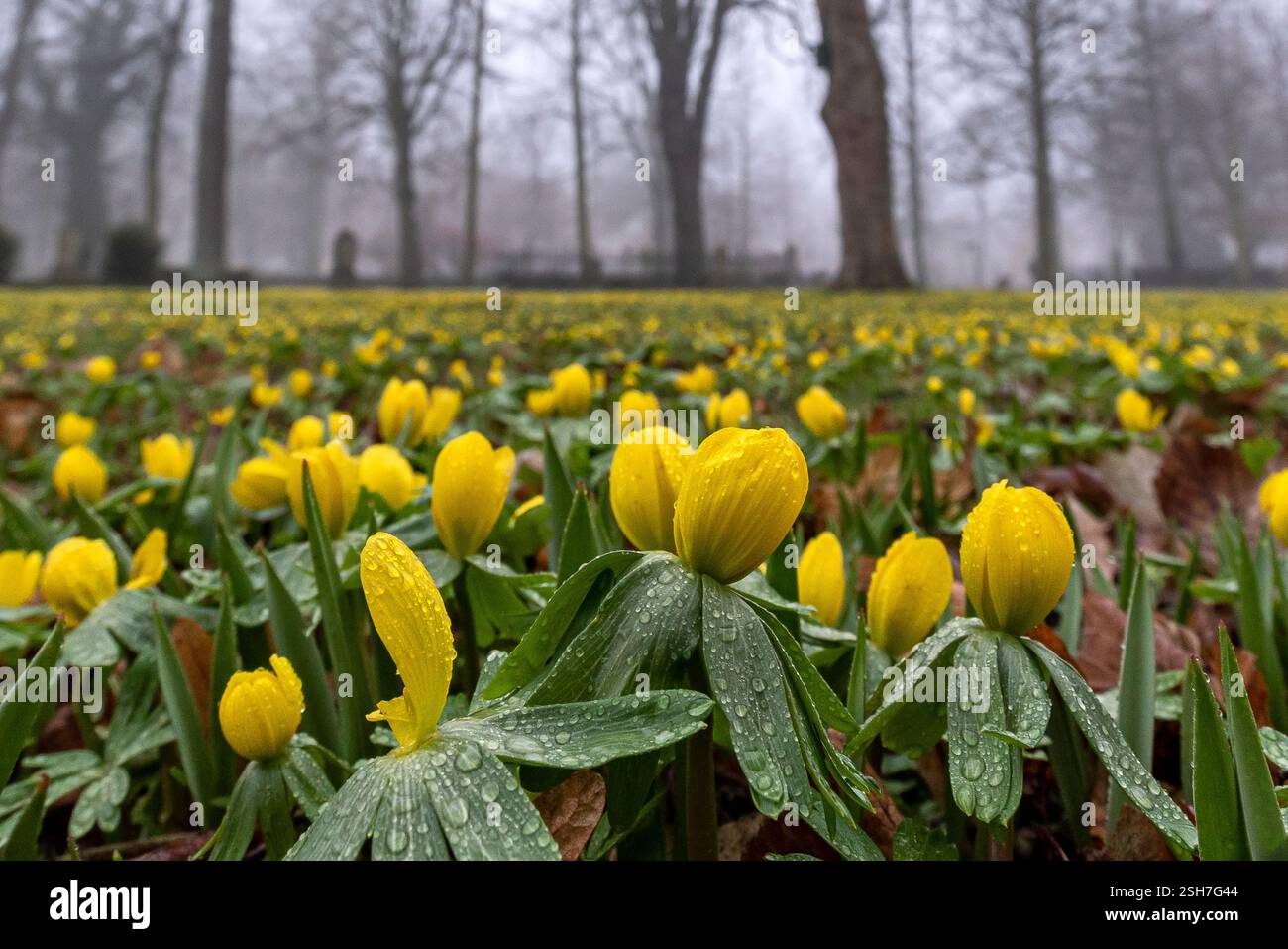 Winter Scenes at Malmo, Sweden Stock Photo - Alamy