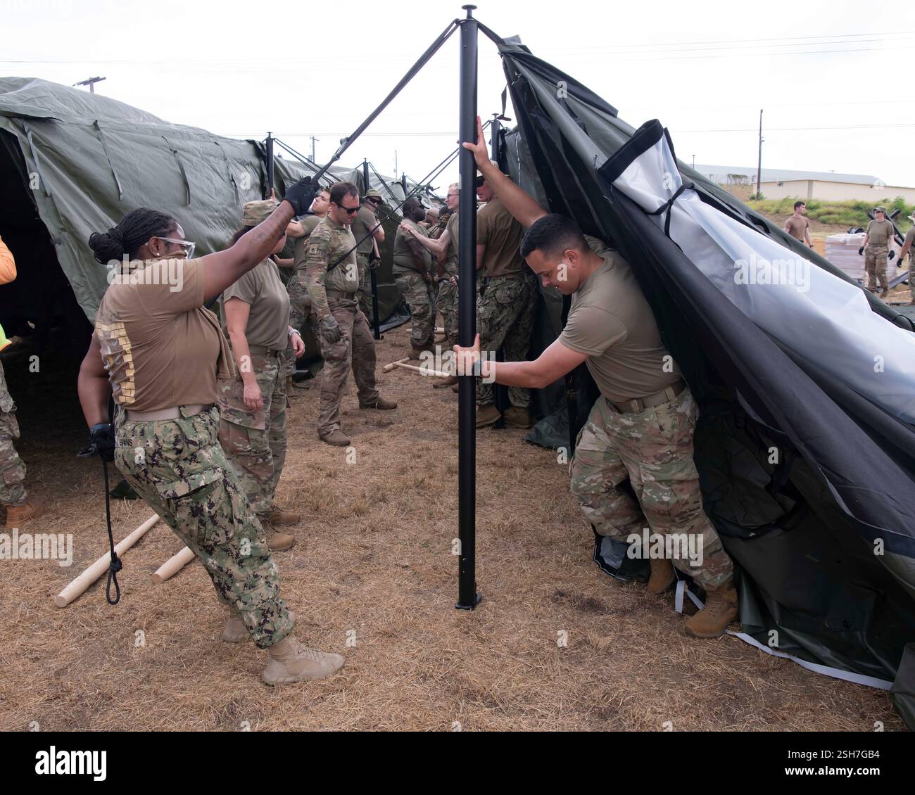 U.S. Navy Sailors and Army Soldiers set up tents at Naval Station ...