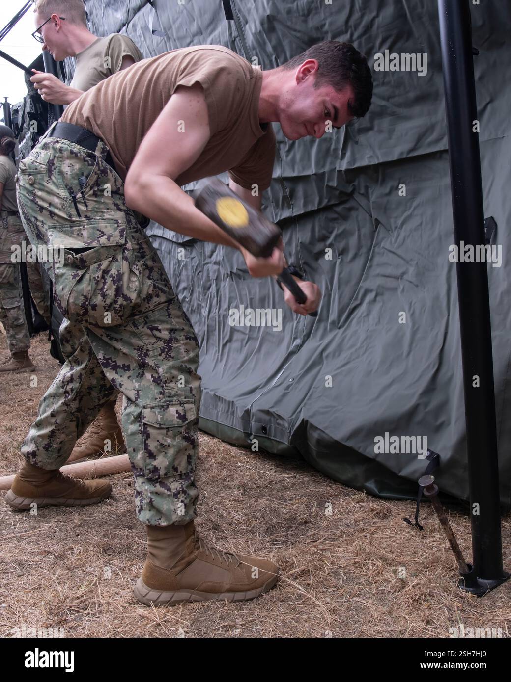 U.S. Navy Sailors and Army Soldiers set up tents at Naval Station ...