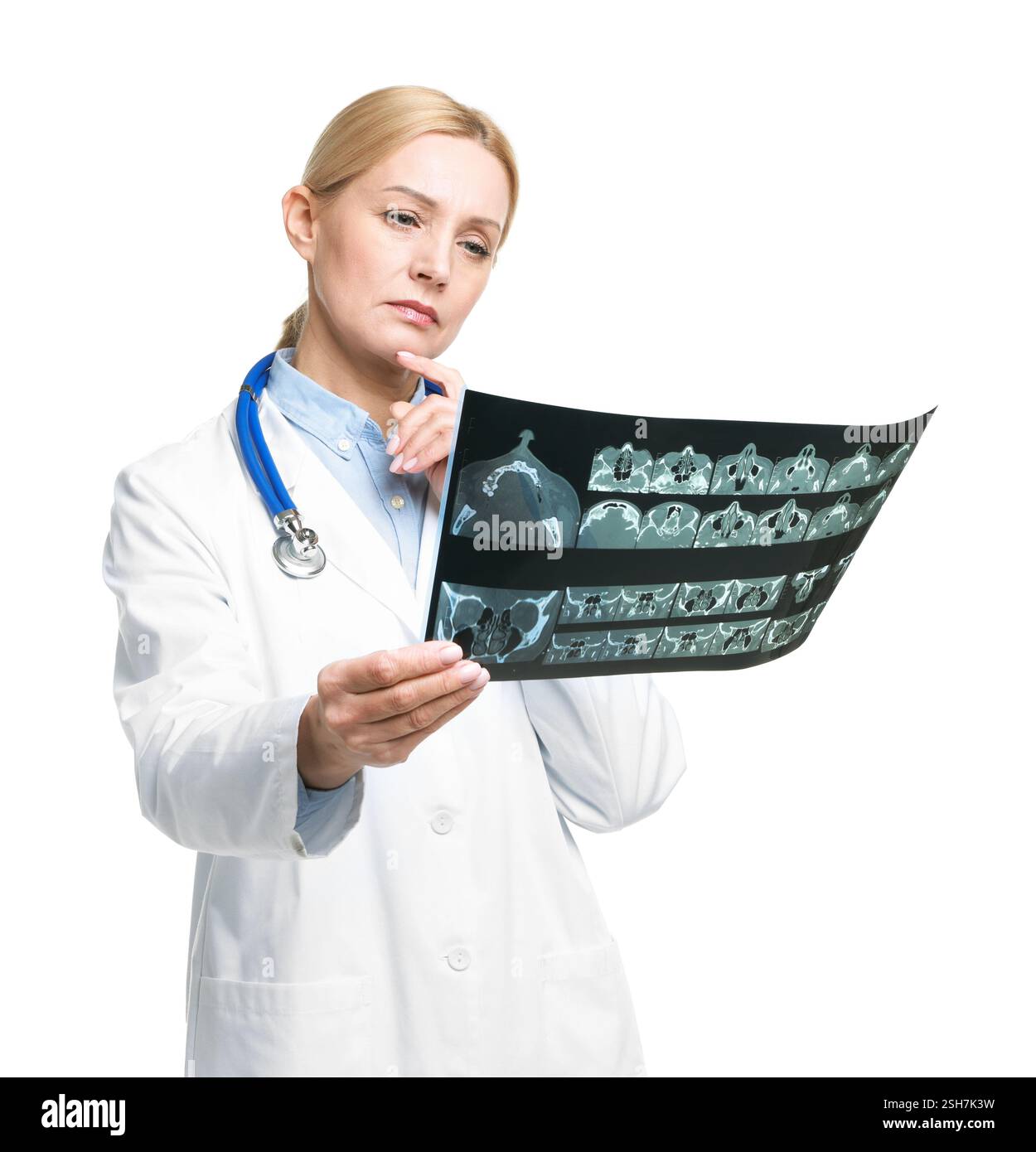Doctor examining x-ray image of paranasal sinuses on white background ...