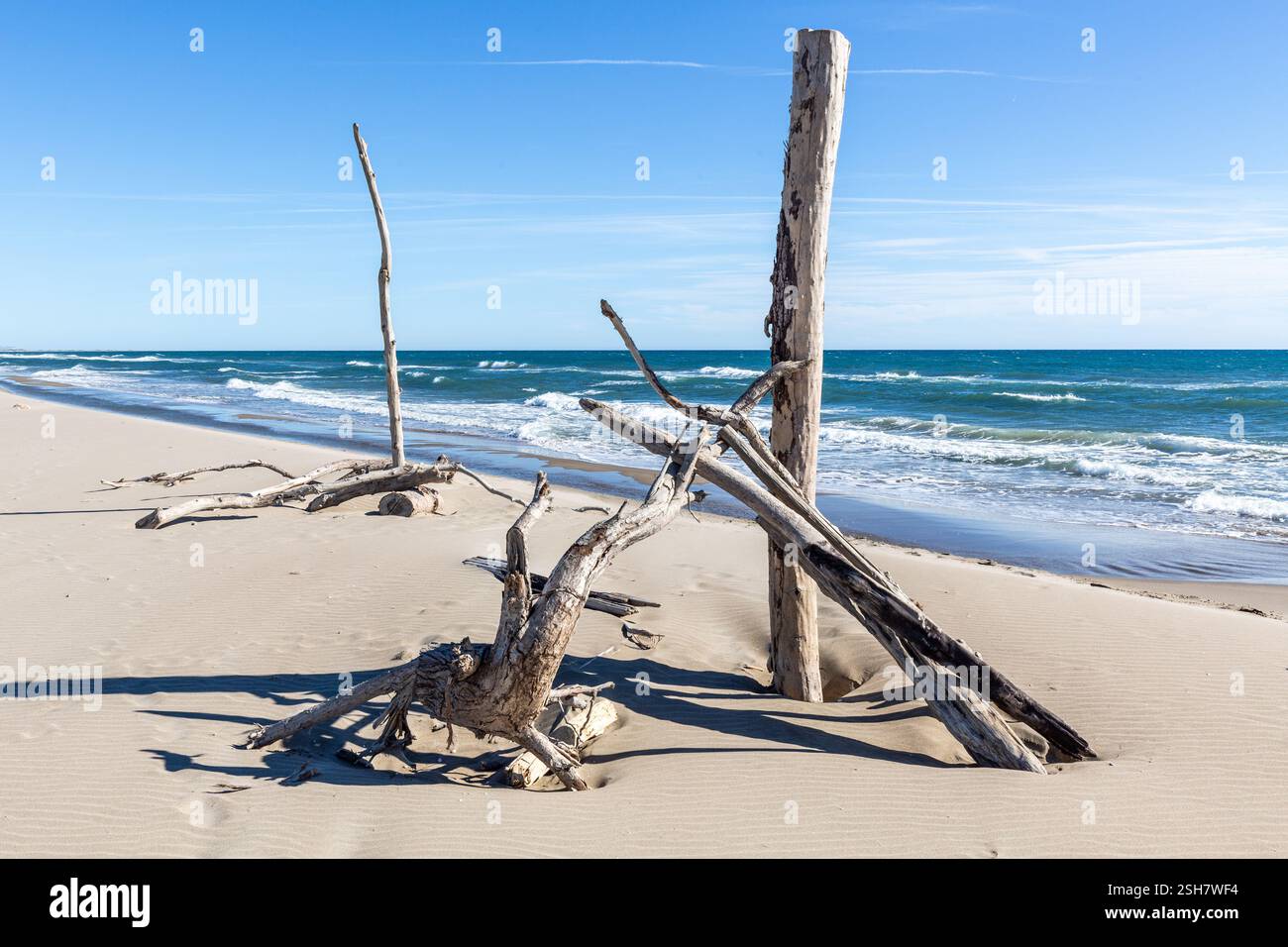 Wood debris forming the remains of a shelter on Piémanson beach in ...