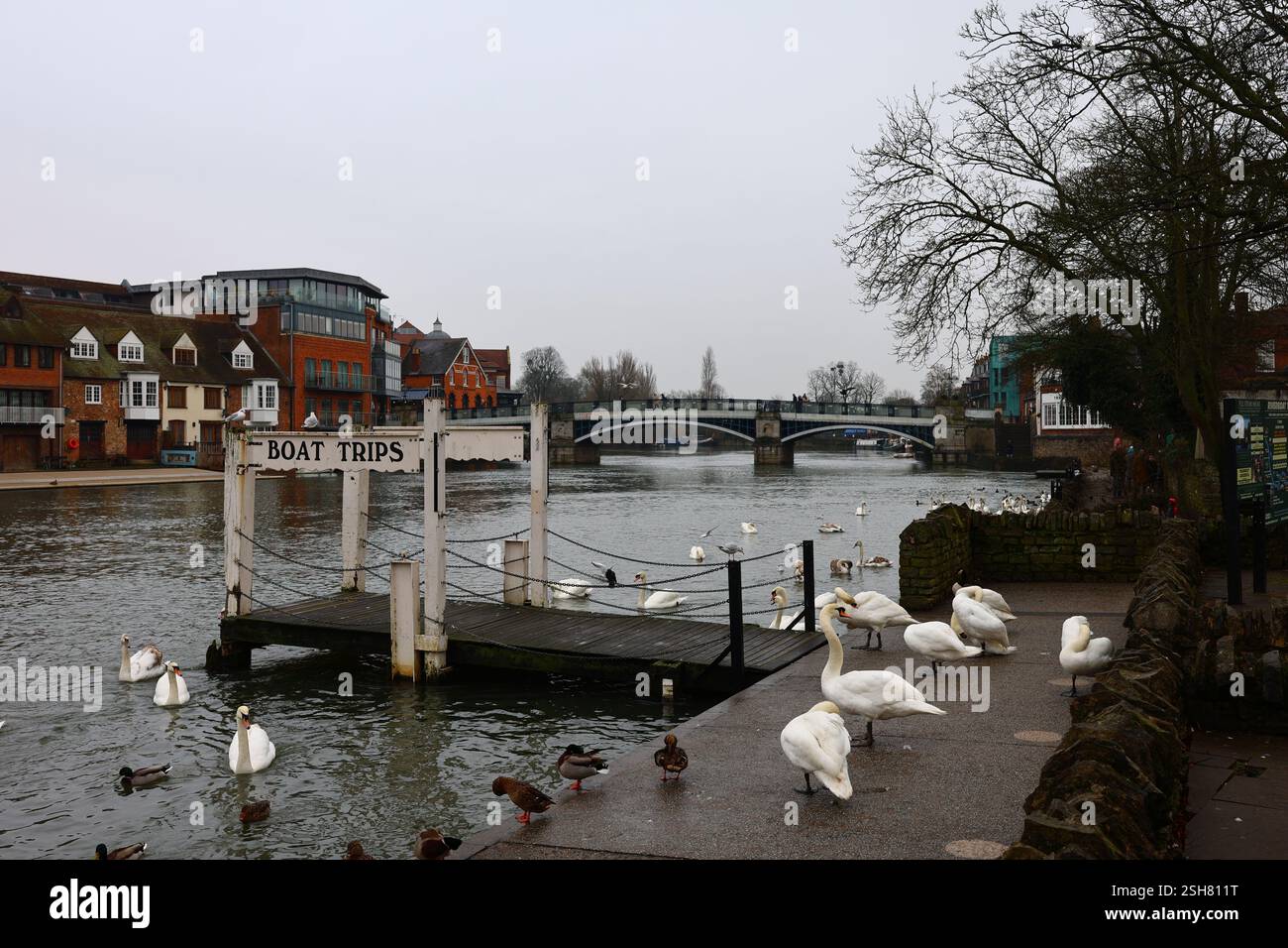 Windsor eaton bridge hi-res stock photography and images - Alamy