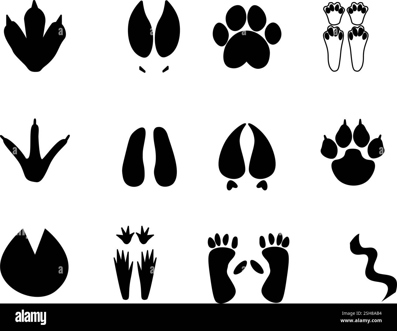 Chinese new year animals steps isolated vector graphic line ...