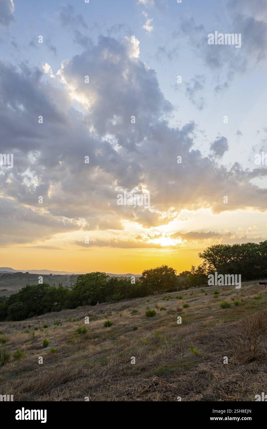 Typical Tuscan landscape in Val d'Orcia with hills, trees, fields ...