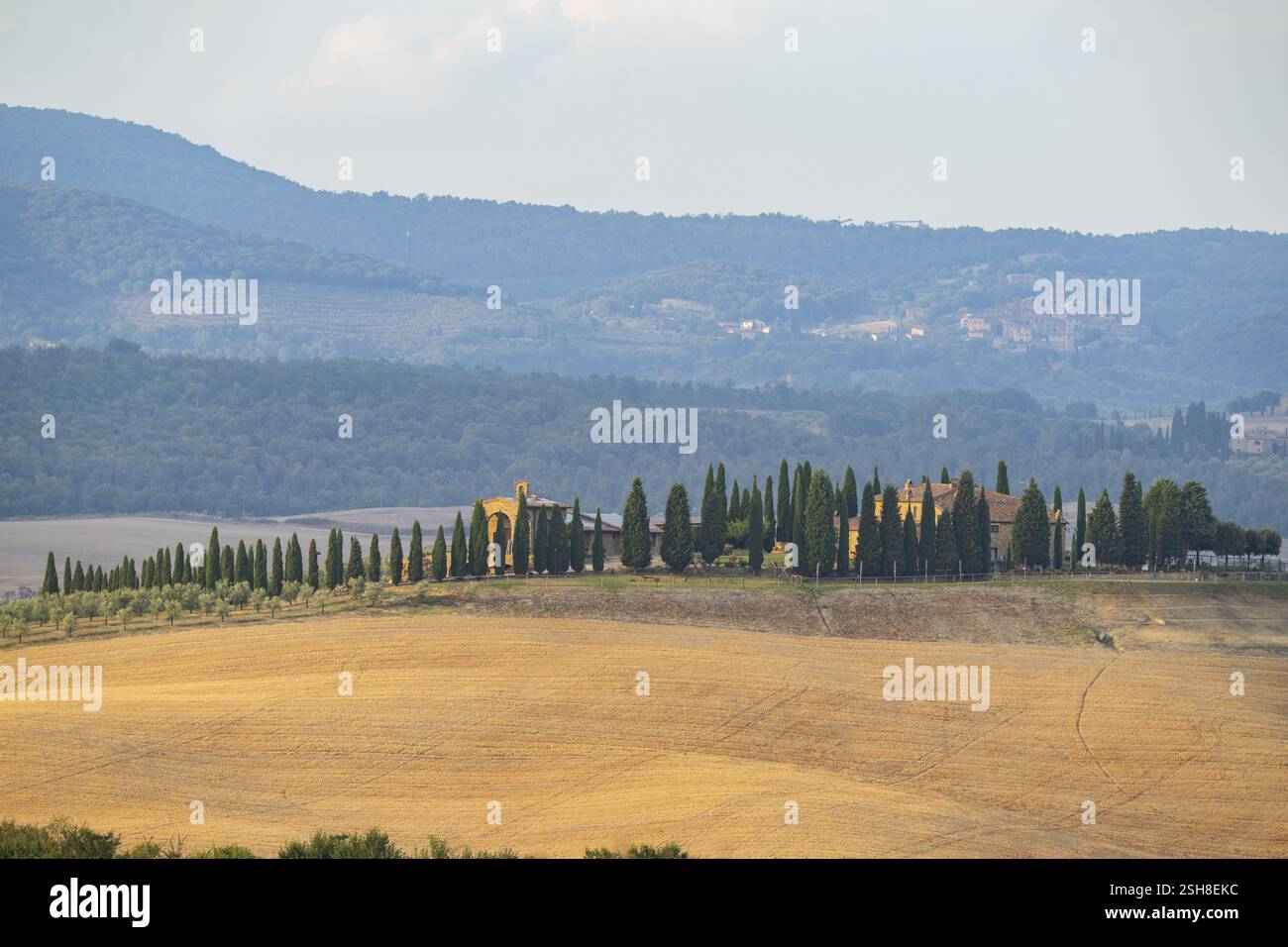 Typical Tuscan landscape in Val d'Orcia with hills, trees, fields ...
