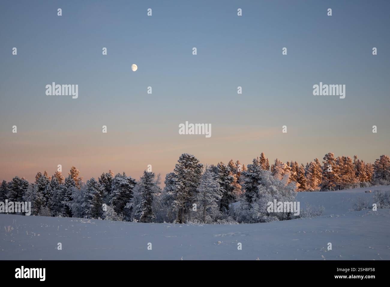 Snowy landscape winter scene in Swedish Lapland. Kiruna, Norrbotten ...