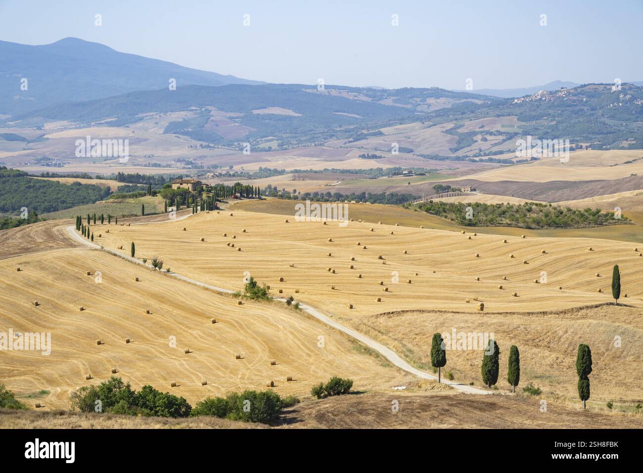 Typical Tuscan landscape in Val d'Orcia with hills, trees, fields ...