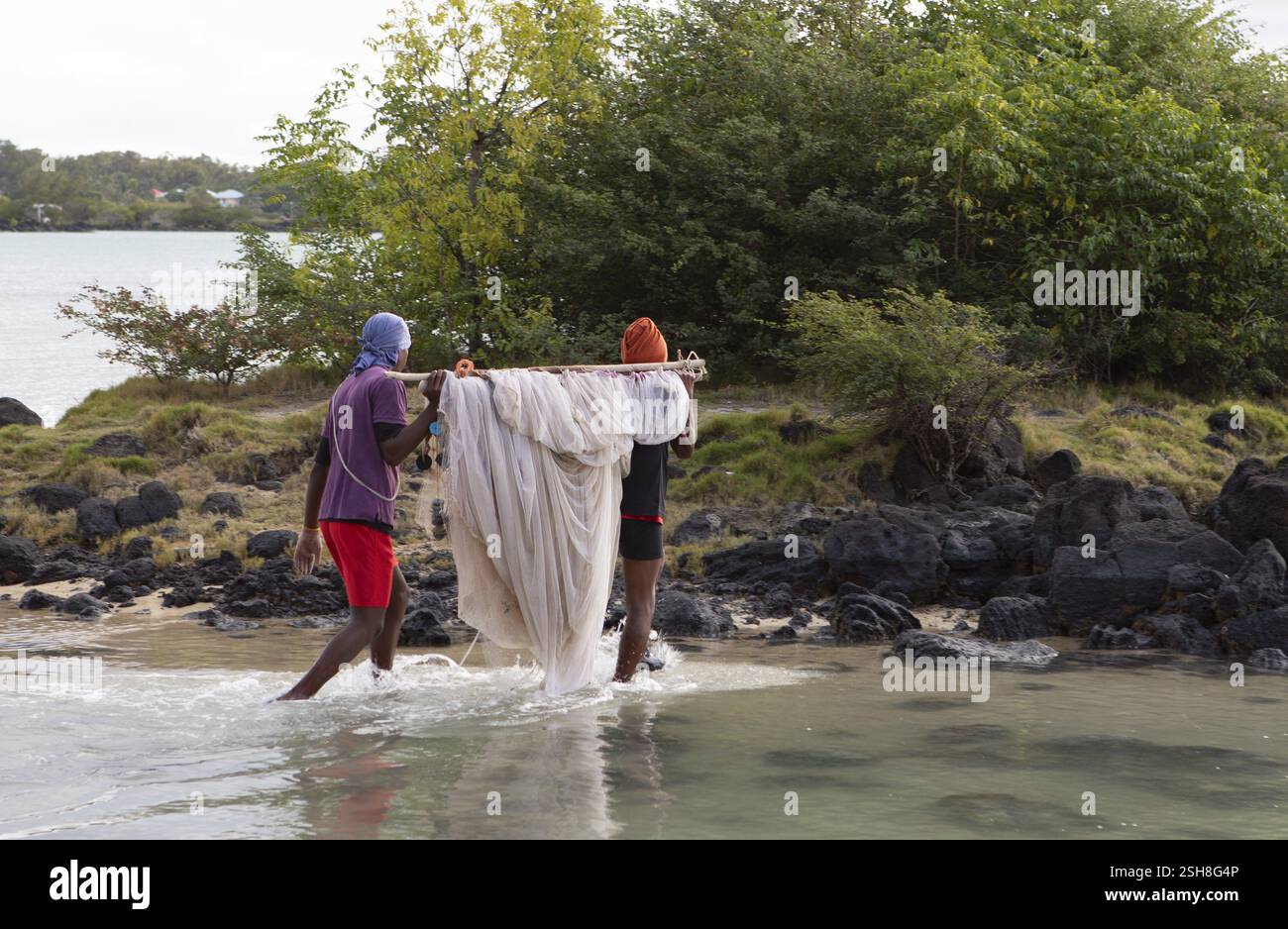 Mauritian men carrying a traditional fishing net in the Indian Ocean ...
