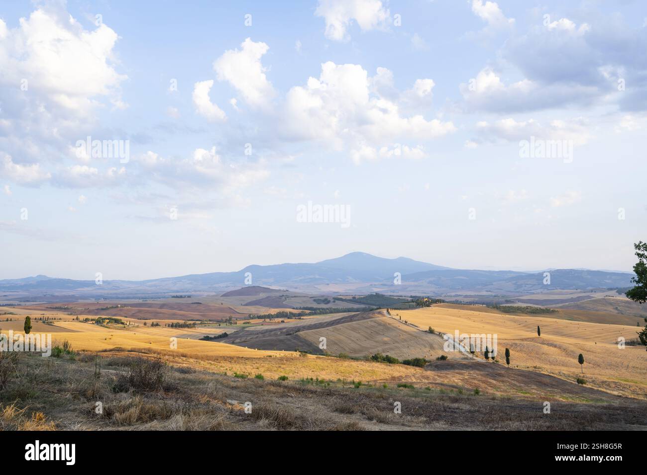 Typical Tuscan landscape in Val d'Orcia with hills, trees, fields ...