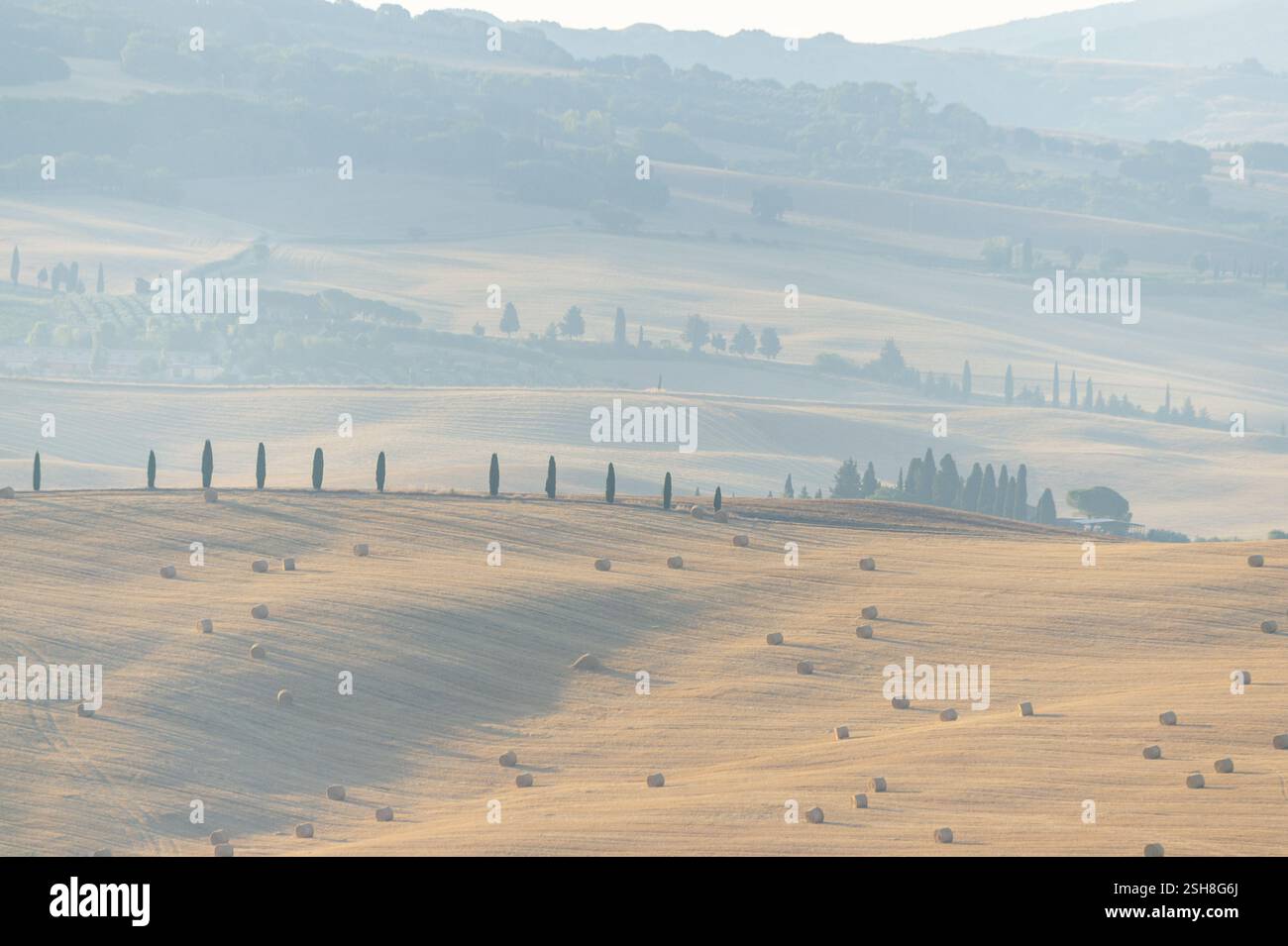 Typical Tuscan landscape in Val d'Orcia with hills, trees, fields ...