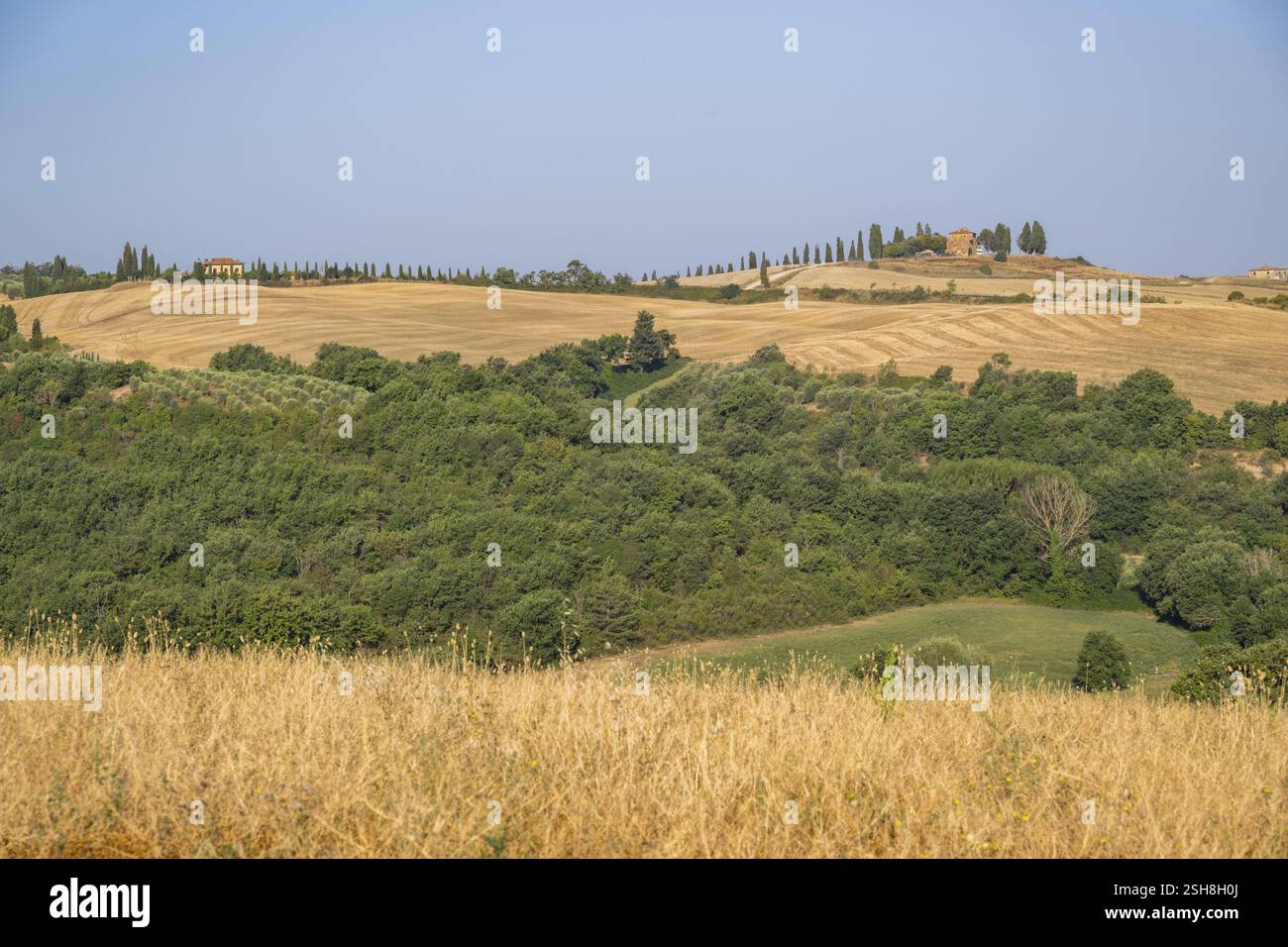 Typical Tuscan landscape in Val d'Orcia with hills, trees, fields ...