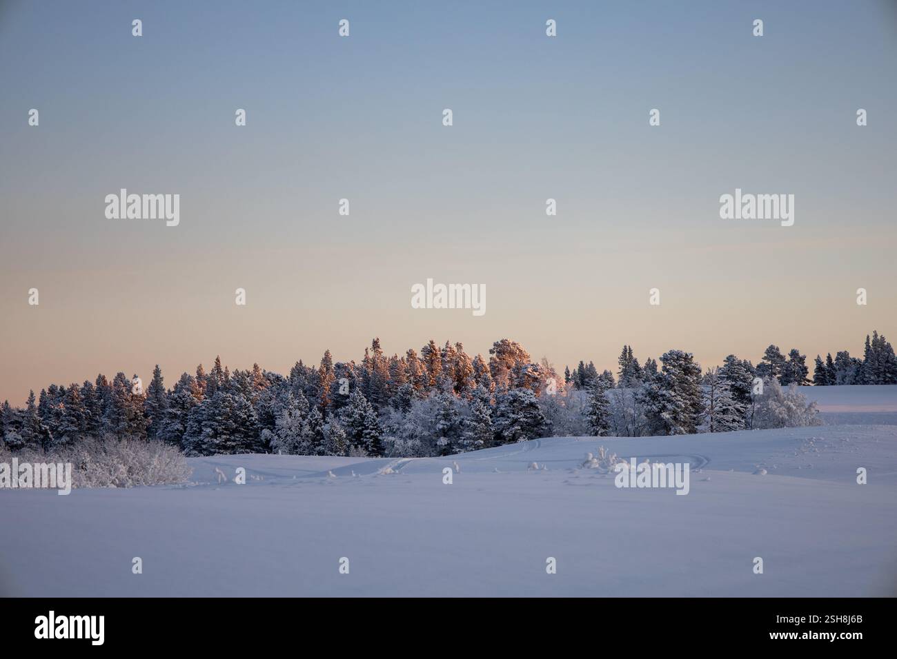 Snowy landscape winter scene in Swedish Lapland. Kiruna, Norrbotten ...