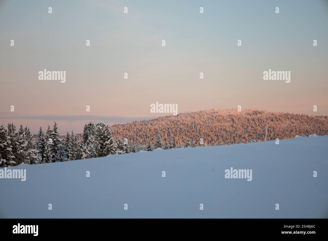 Snowy landscape winter scene in Swedish Lapland. Kiruna, Norrbotten ...