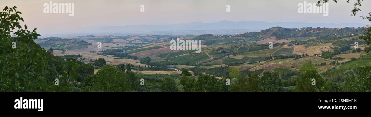 Typical viw of the Tuscan landscape in Val d'Orcia with hills, trees ...