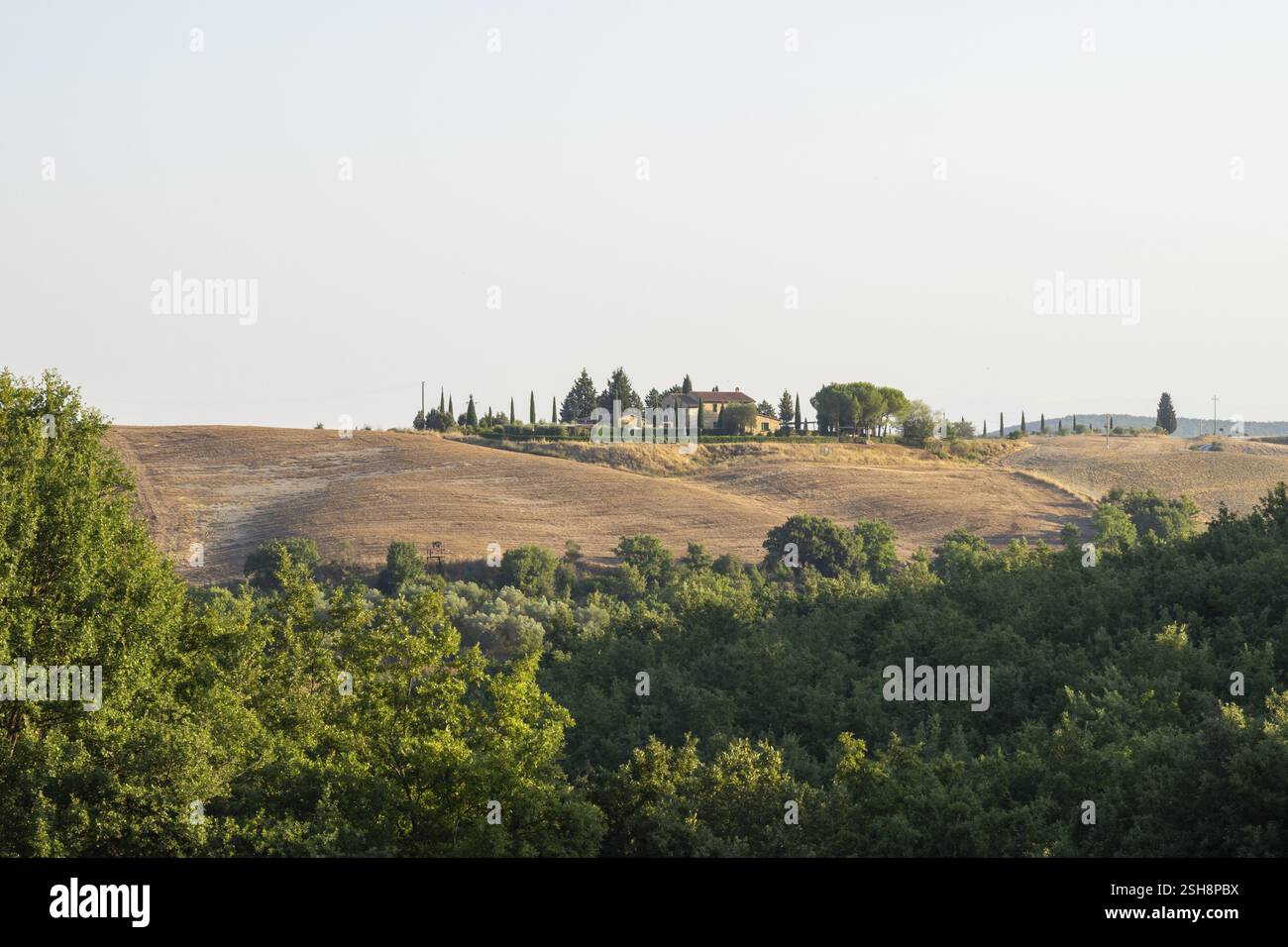 Typical Tuscan landscape in Val d'Orcia with hills, trees, fields ...
