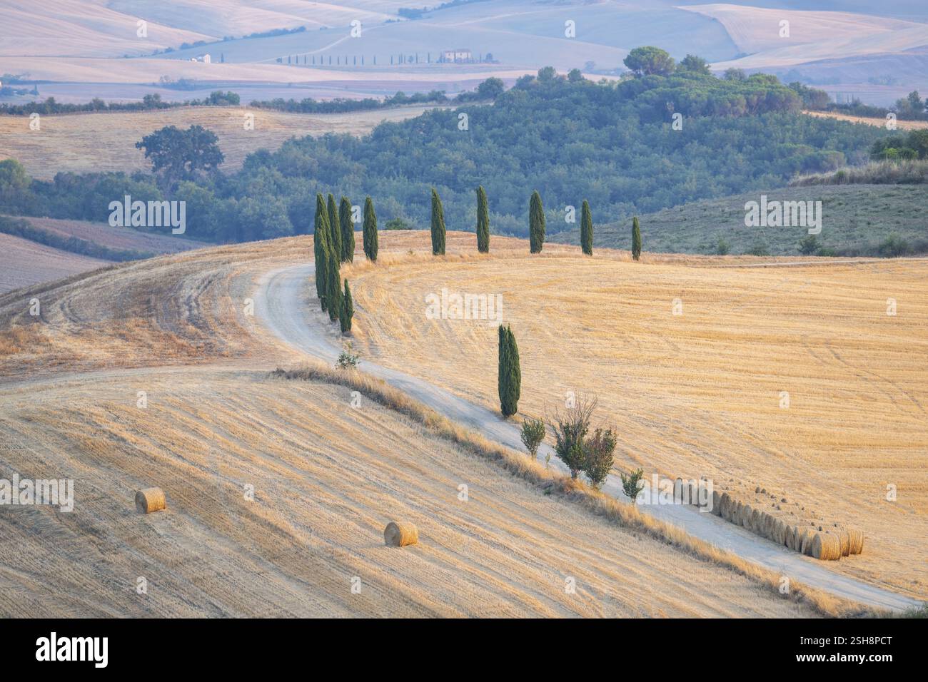 Typical Tuscan landscape in Val d'Orcia with hills, trees, fields ...