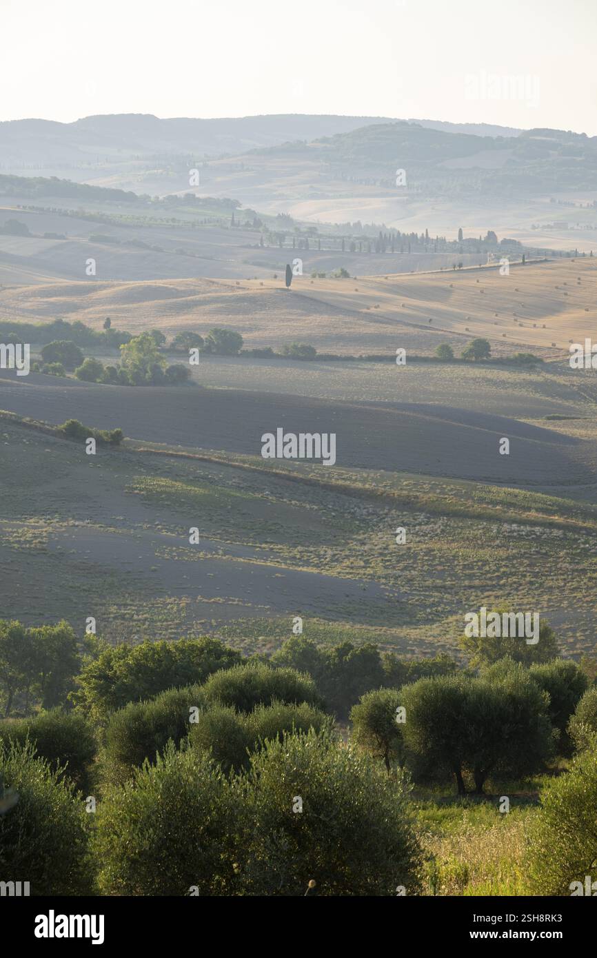 Typical Tuscan landscape in Val d'Orcia with hills, trees, fields ...