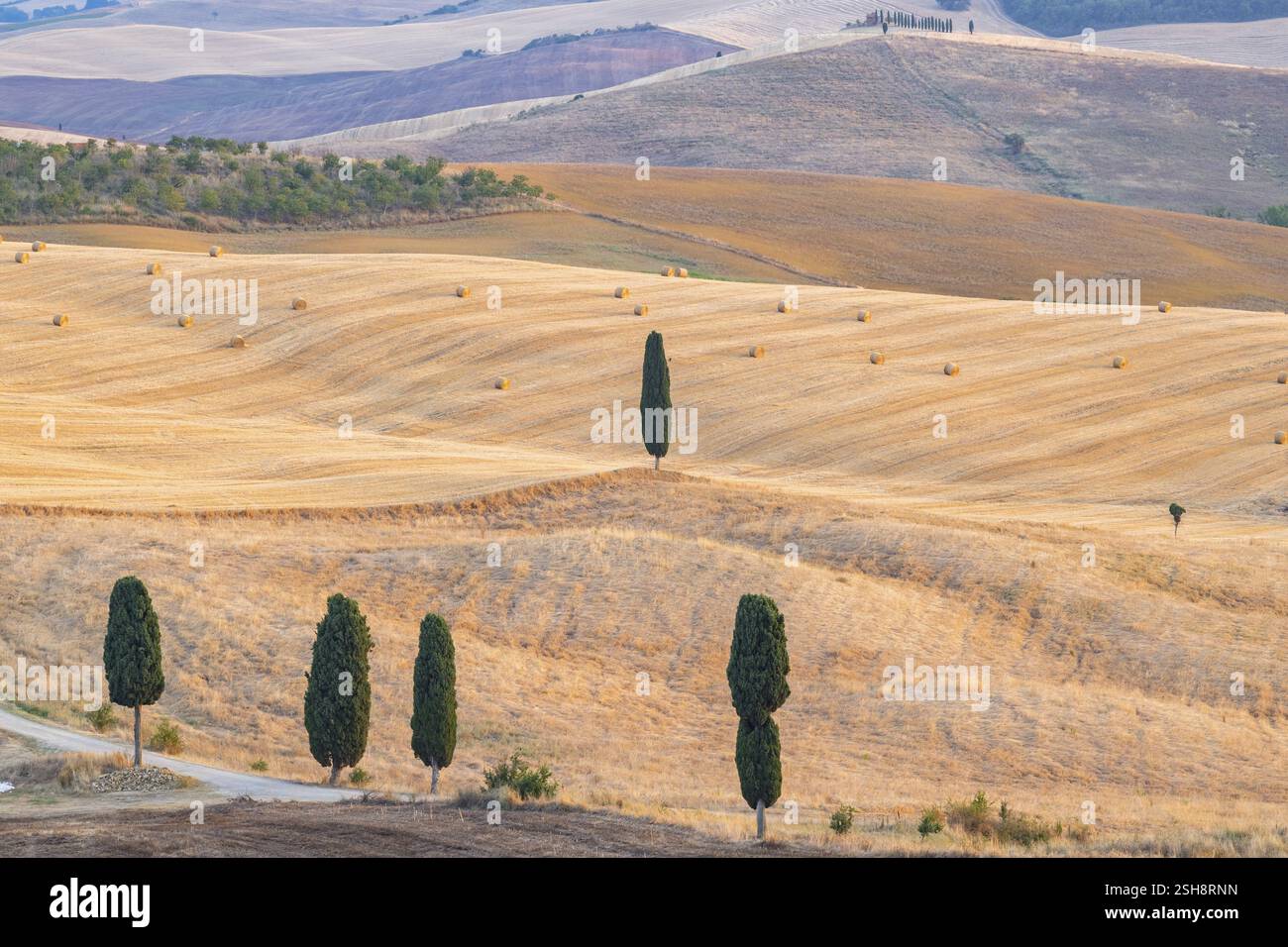 Typical Tuscan landscape in Val d'Orcia with hills, trees, fields ...