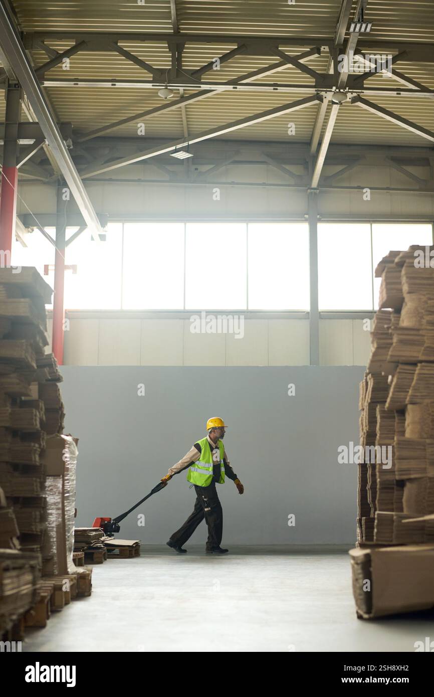 Long shot of male engineer pulling pallet truck with stack of cardboard sheets while moving ...