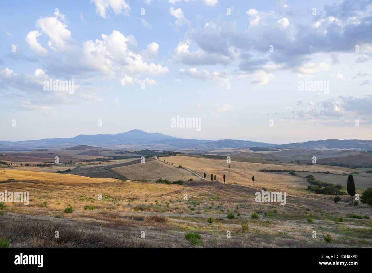 Typical Tuscan landscape in Val d'Orcia with hills, trees, fields ...