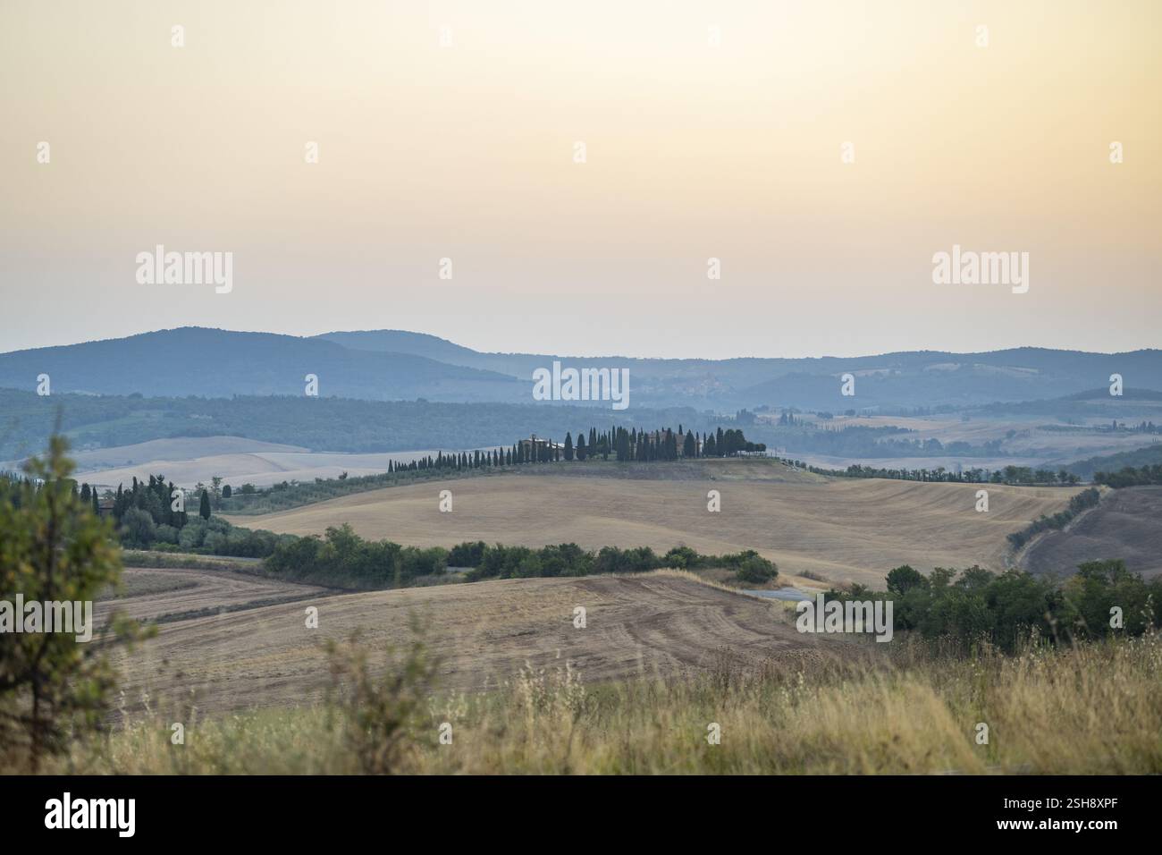 Typical Tuscan landscape in Val d'Orcia with hills, trees, fields ...