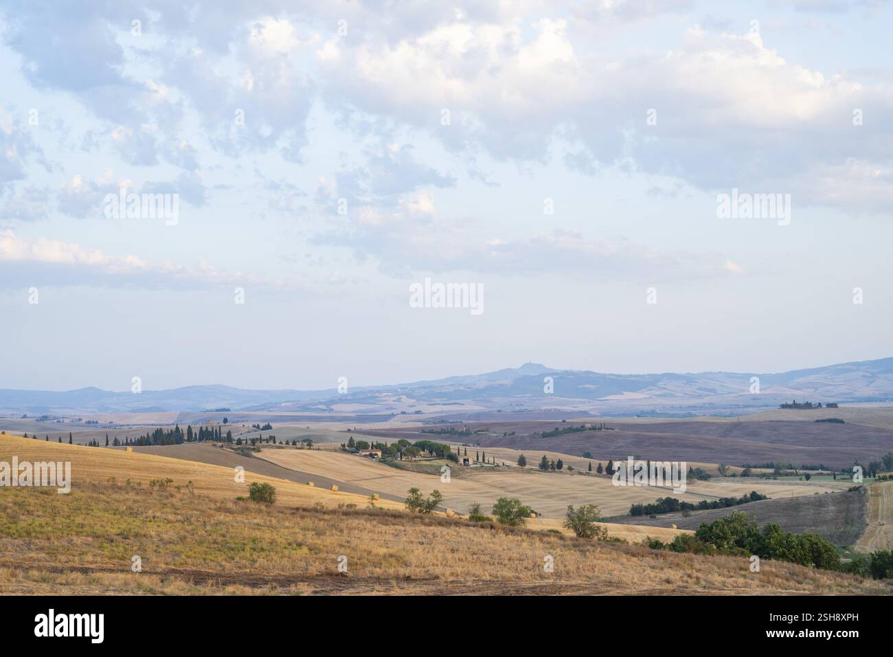 Typical Tuscan landscape in Val d'Orcia with hills, trees, fields ...